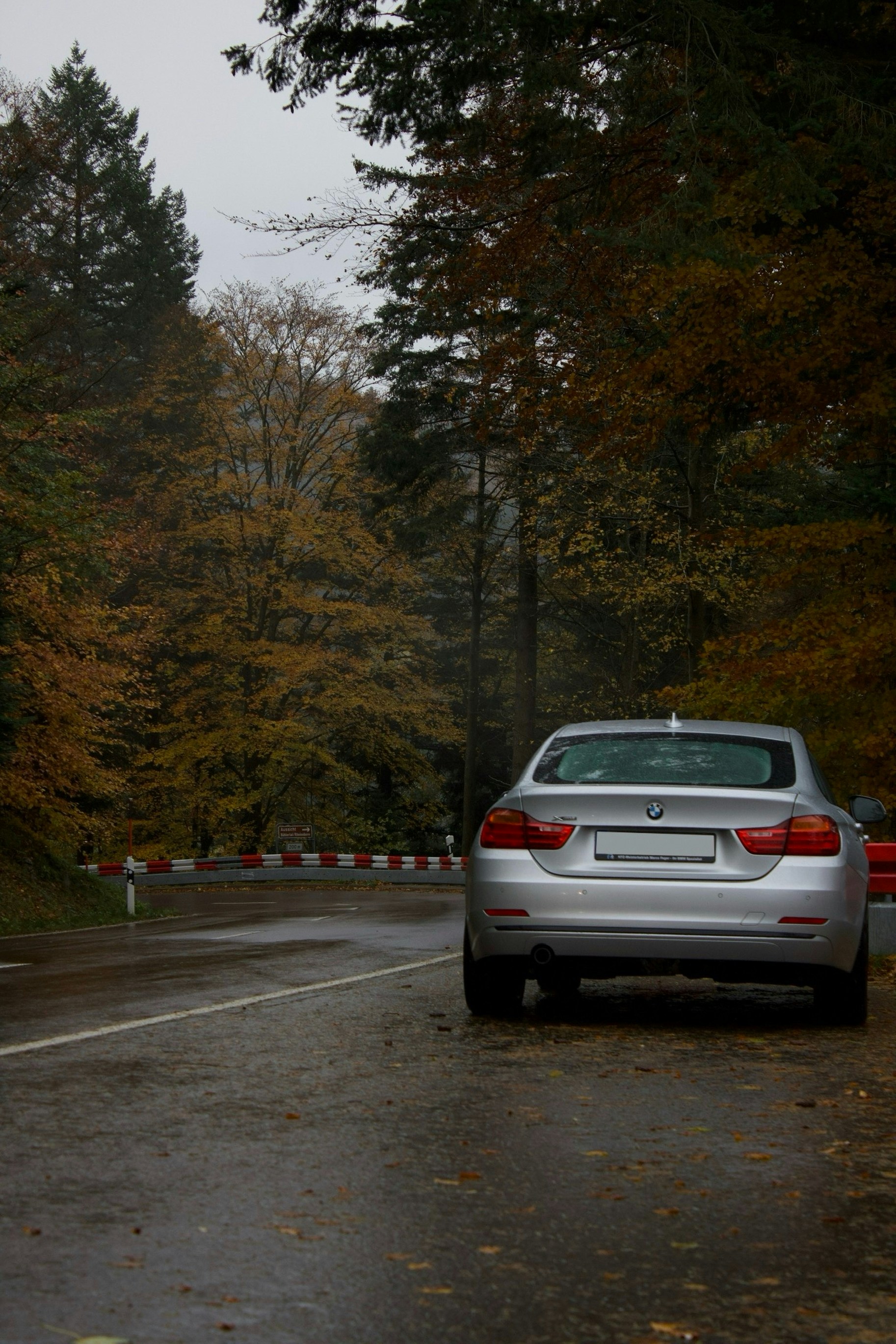 Silver sedan on a rain-slick forest road in autumn hush