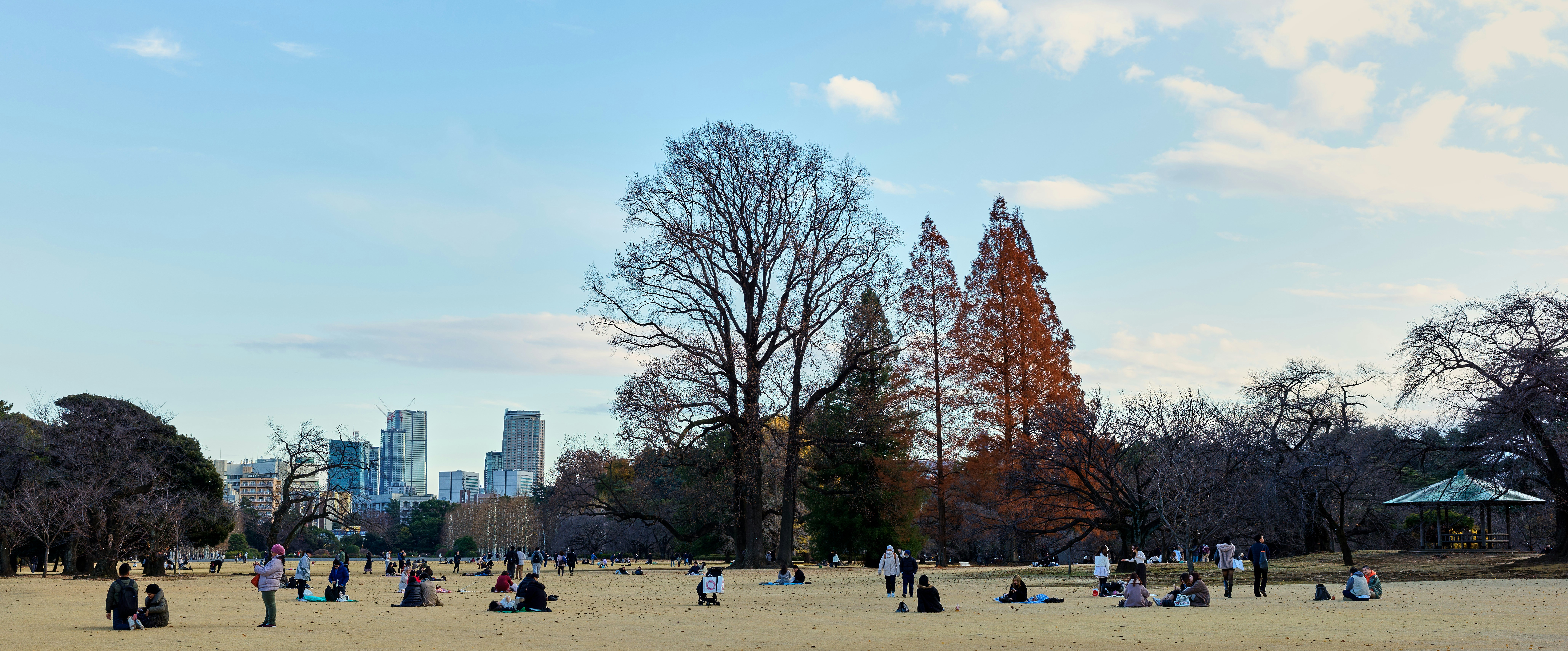 Vibrant park scene with people scattered across a grassy field, framed by towering city buildings and a mix of deciduous trees. 