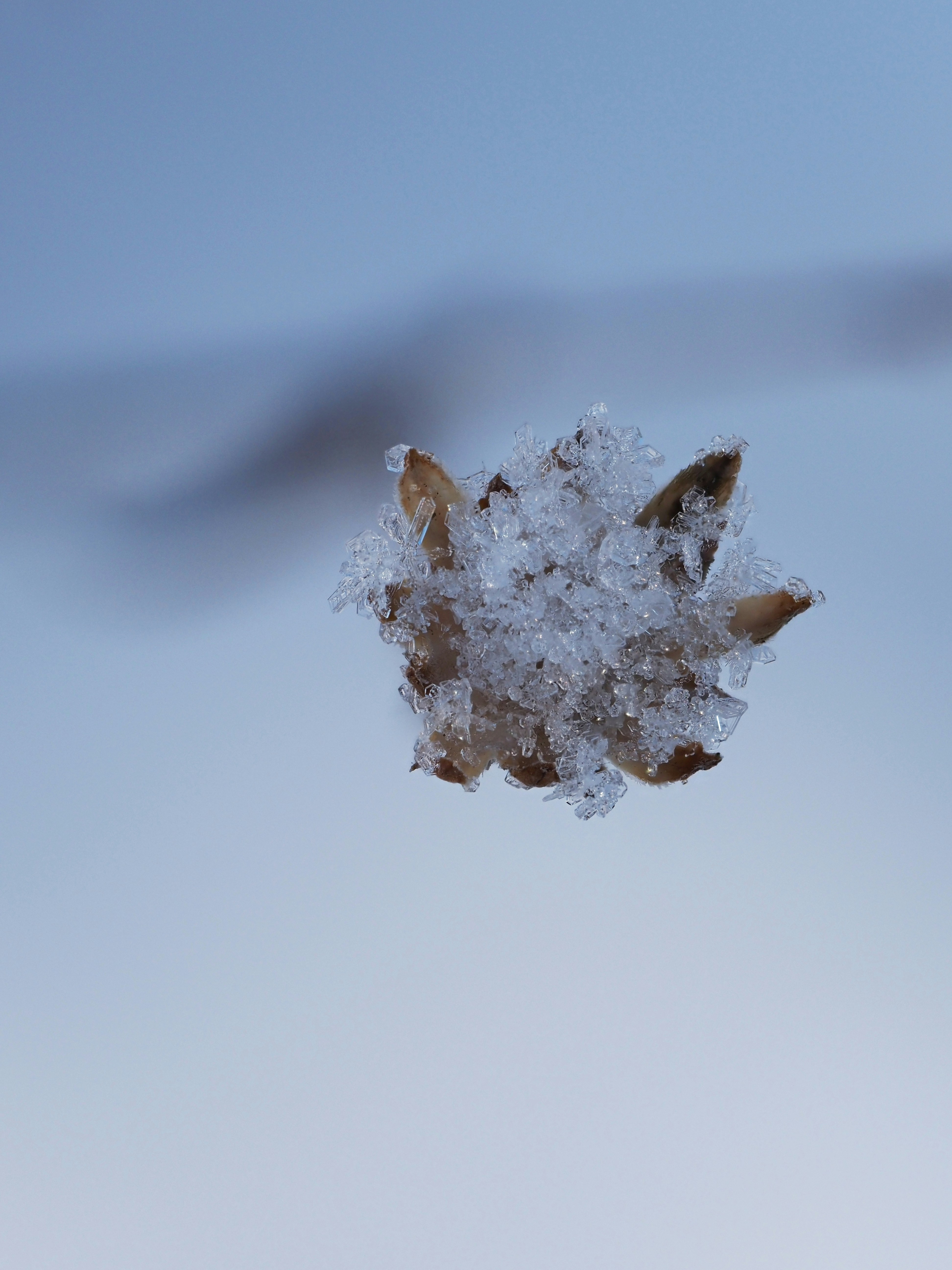 A small piece of ice hanging from a hook photo – Free Orenburg Image on ...