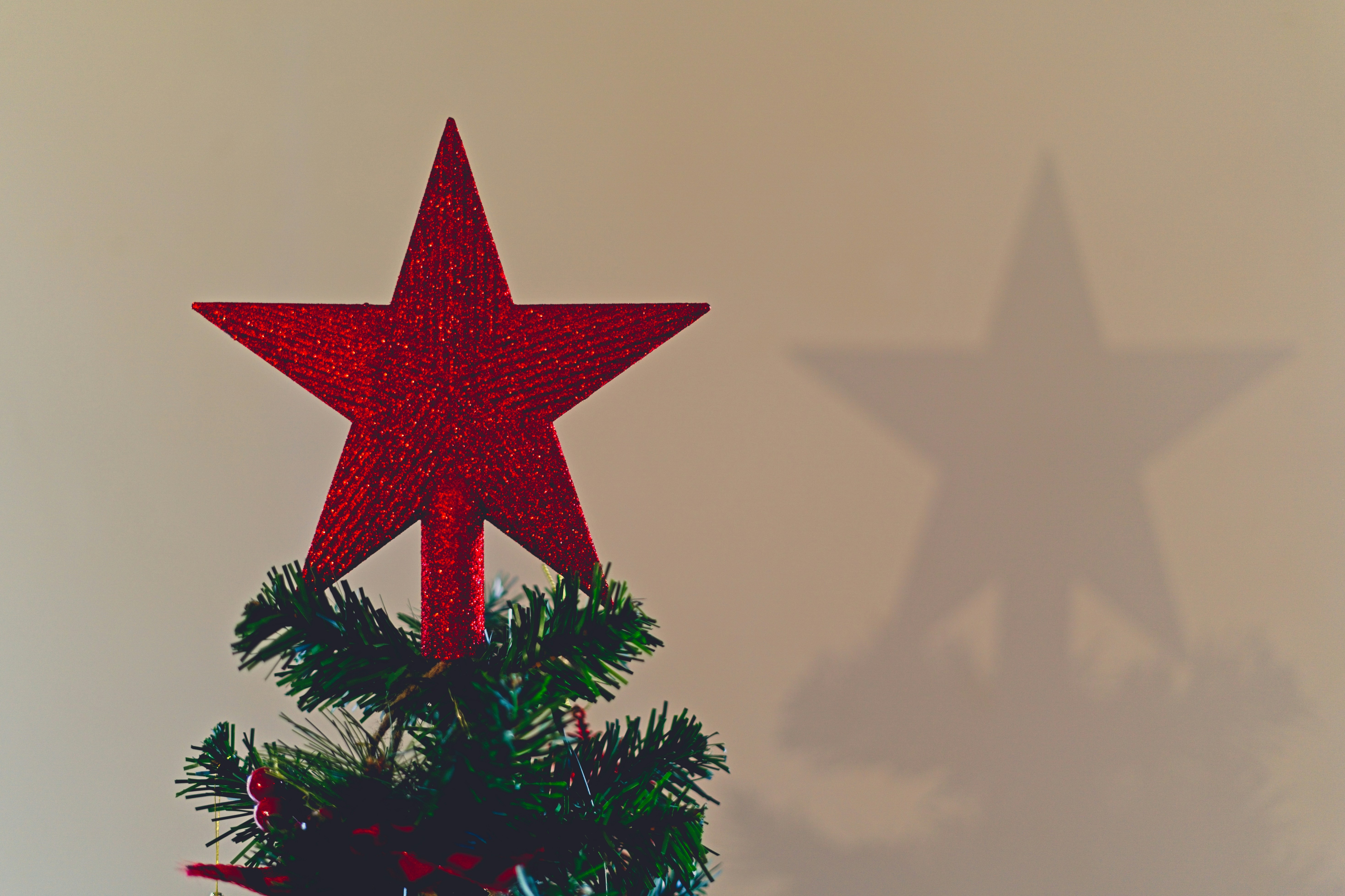 Natalie Astak Banned Pictures | Download Free Images on Unsplash