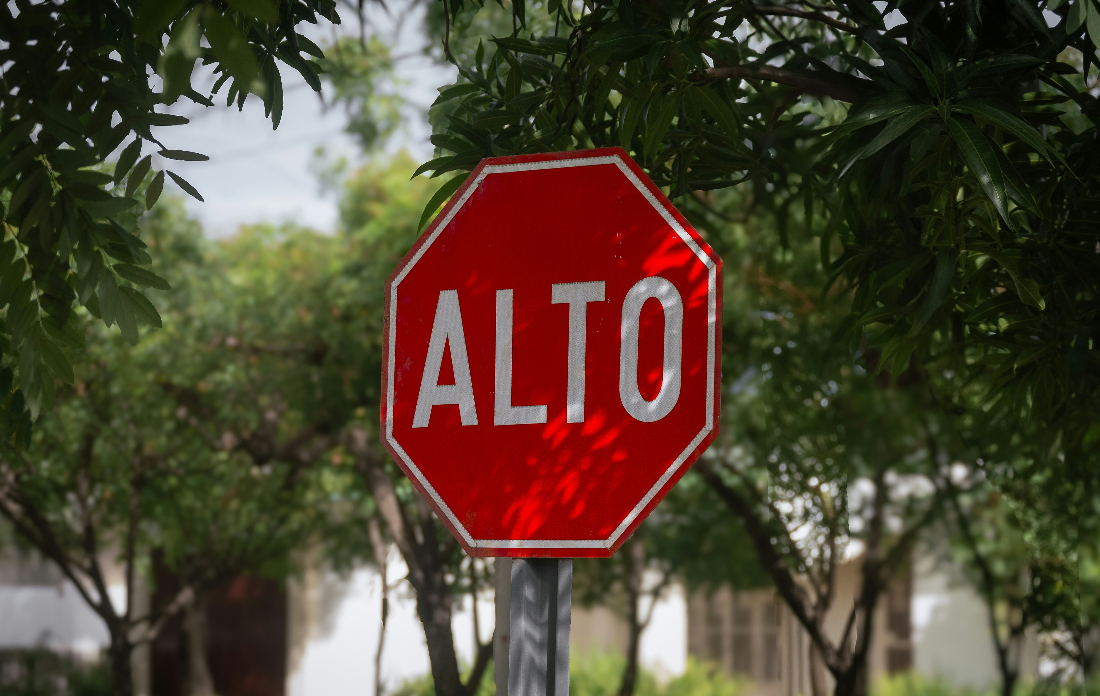 A stop sign with the word alto painted on it photo – Free Sign Image on ...