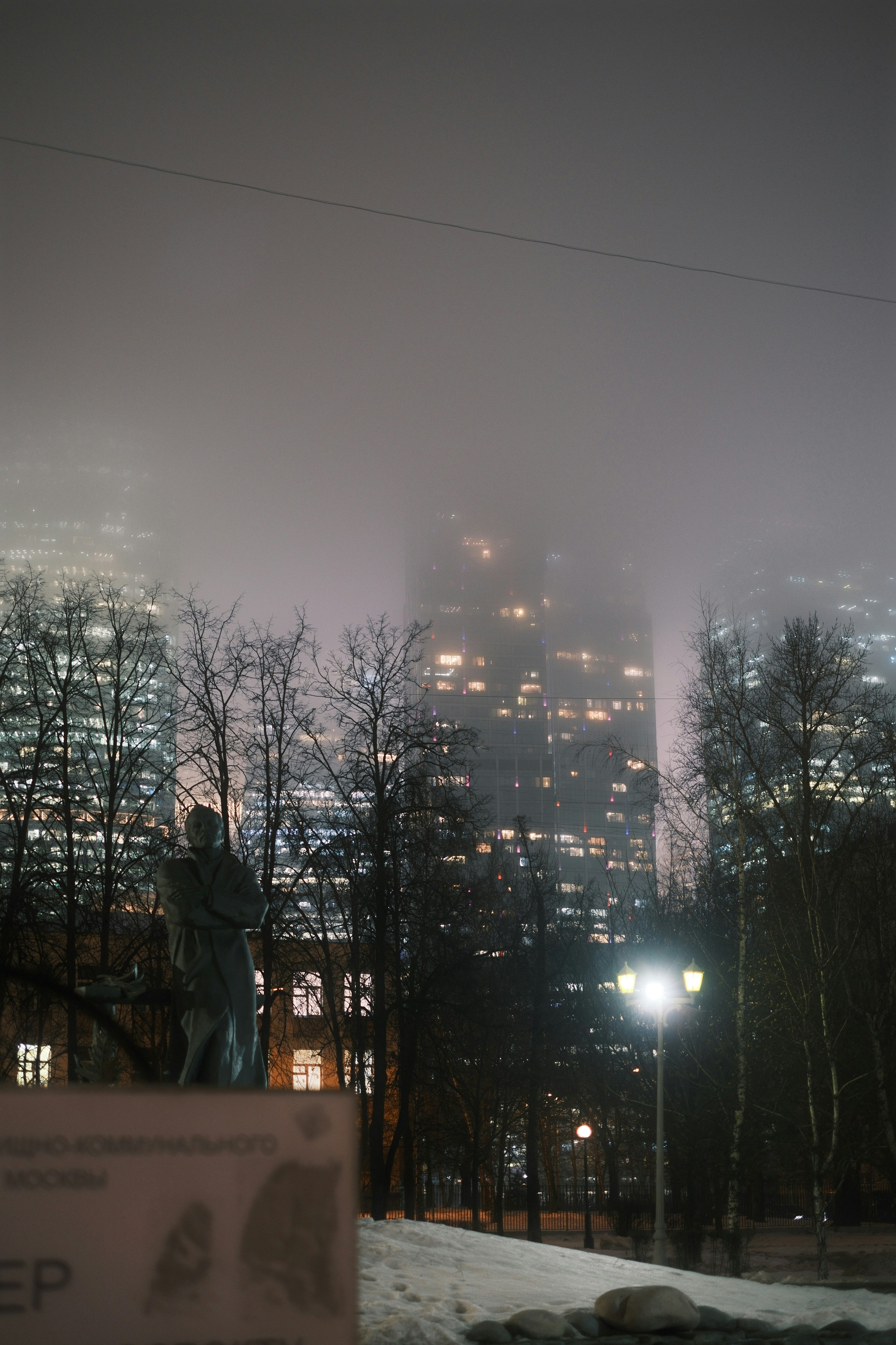 Whispers of Light: A Snowy Night in a Fog-Softened City Park