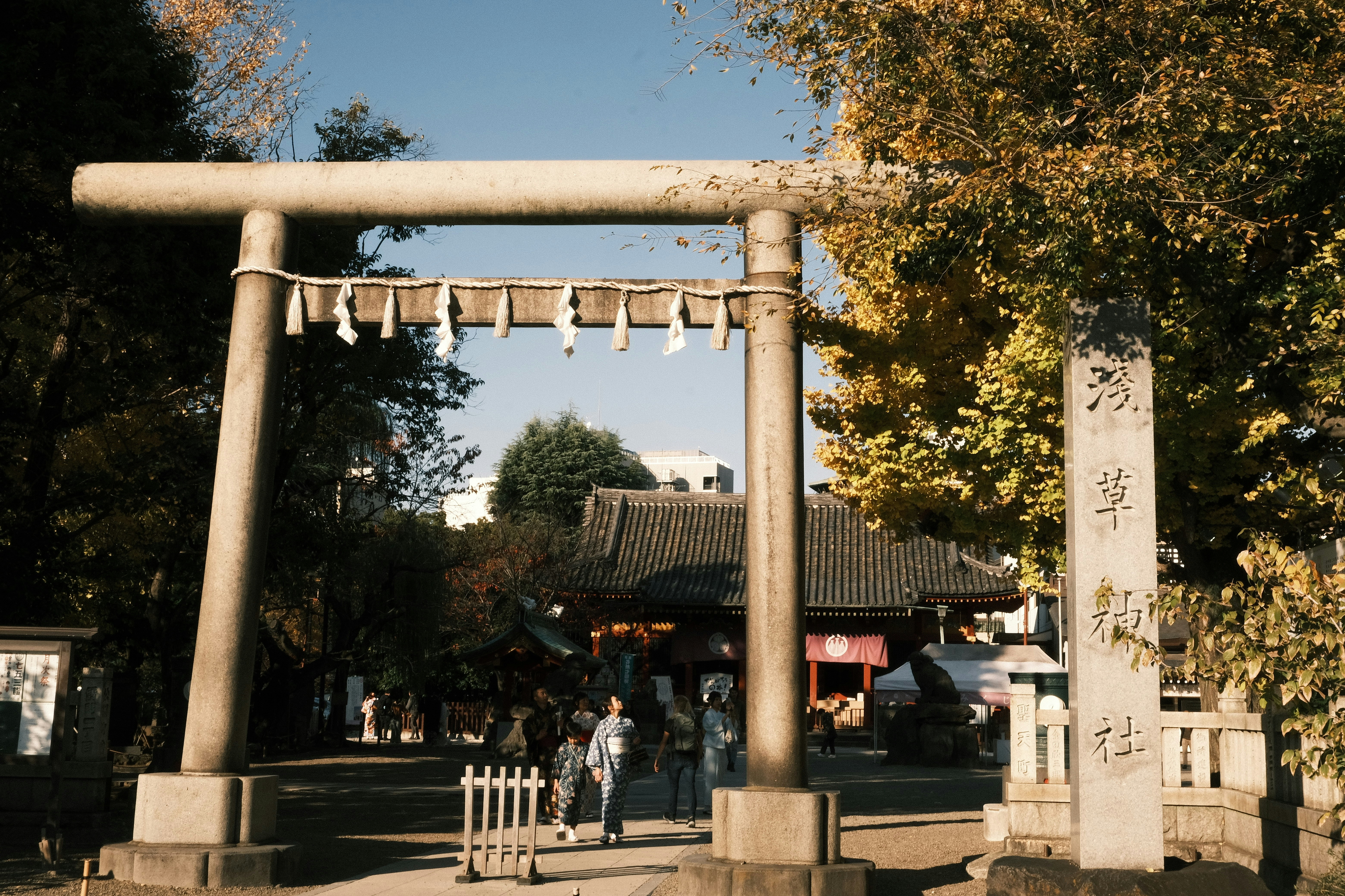 Autumn Sunlight Framing a Shrine Torii