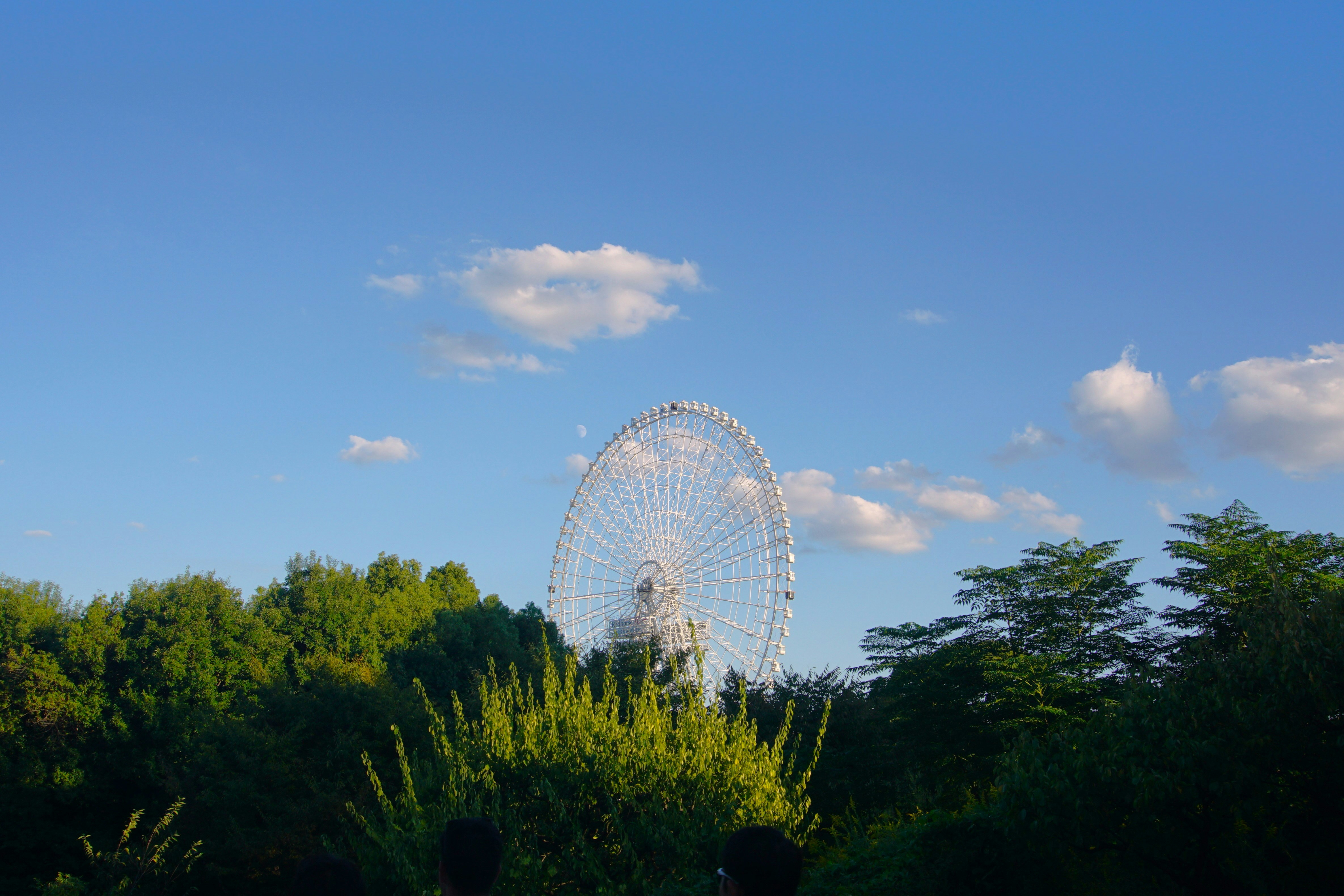 Photo by Syadza Salsabyla with Sony Alpha 6000