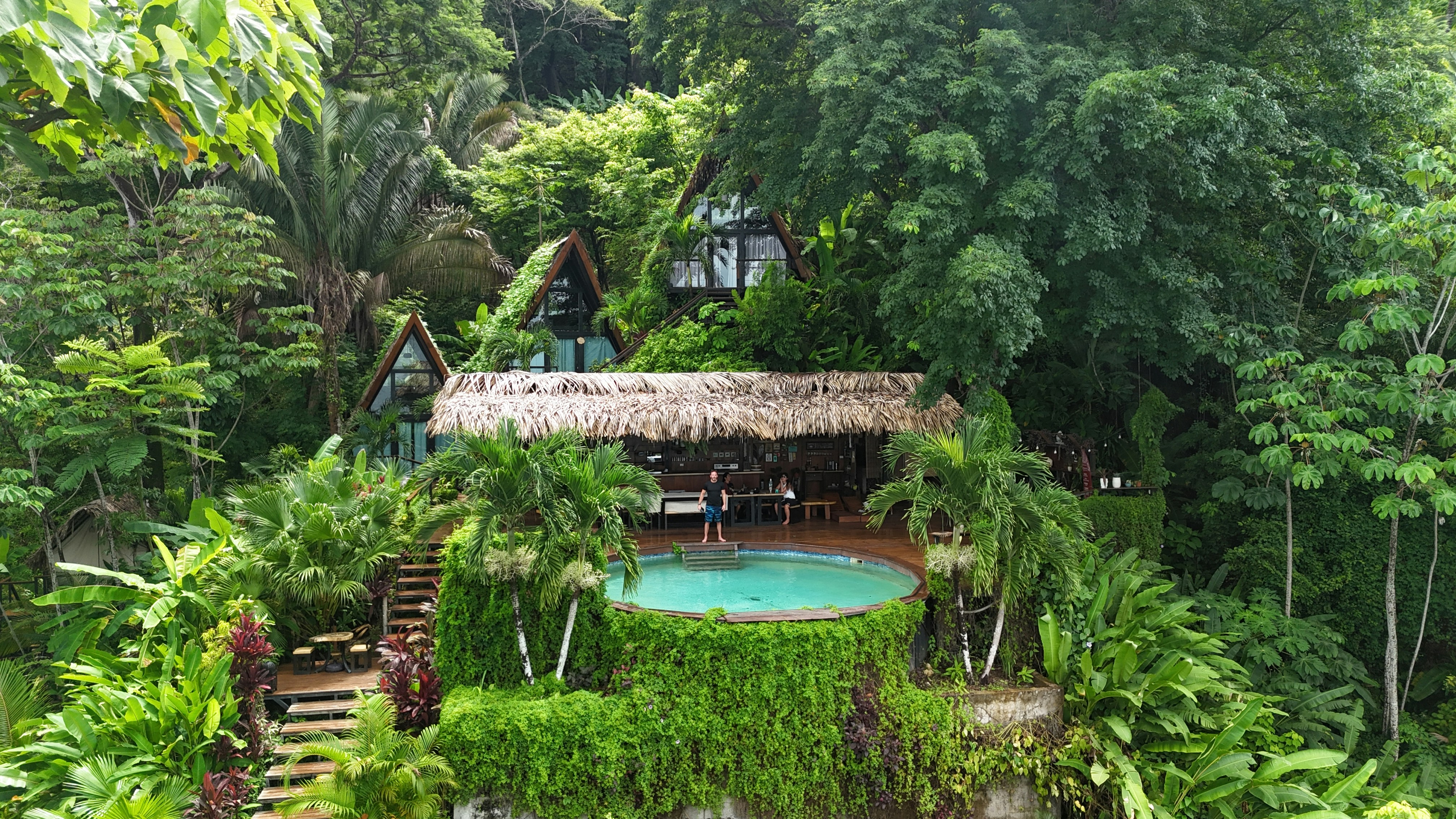 A house with a pool surrounded by trees photo – Free Hotel Image on ...