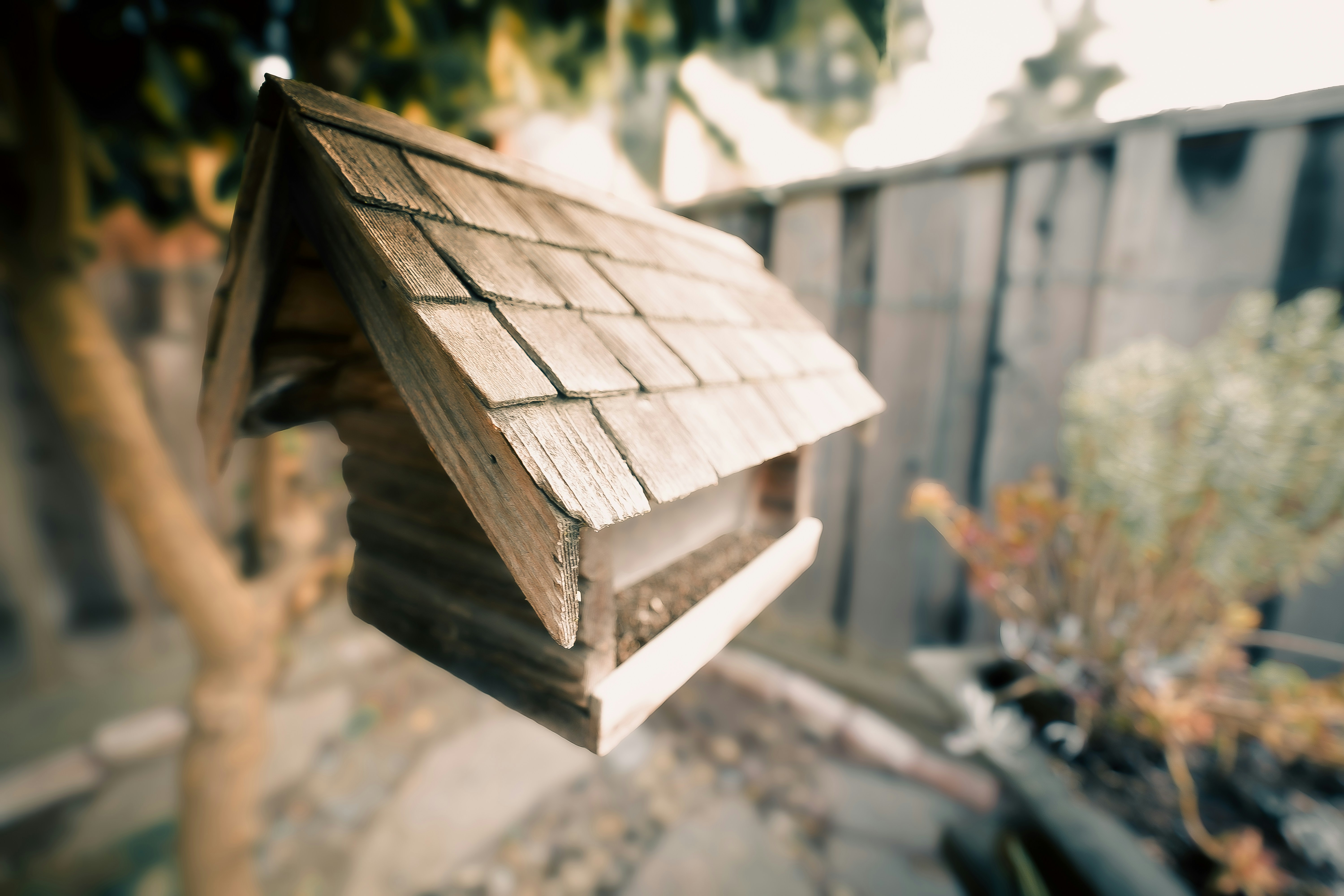 Whimsical Birdhouse in Soft Focus Backyard Light