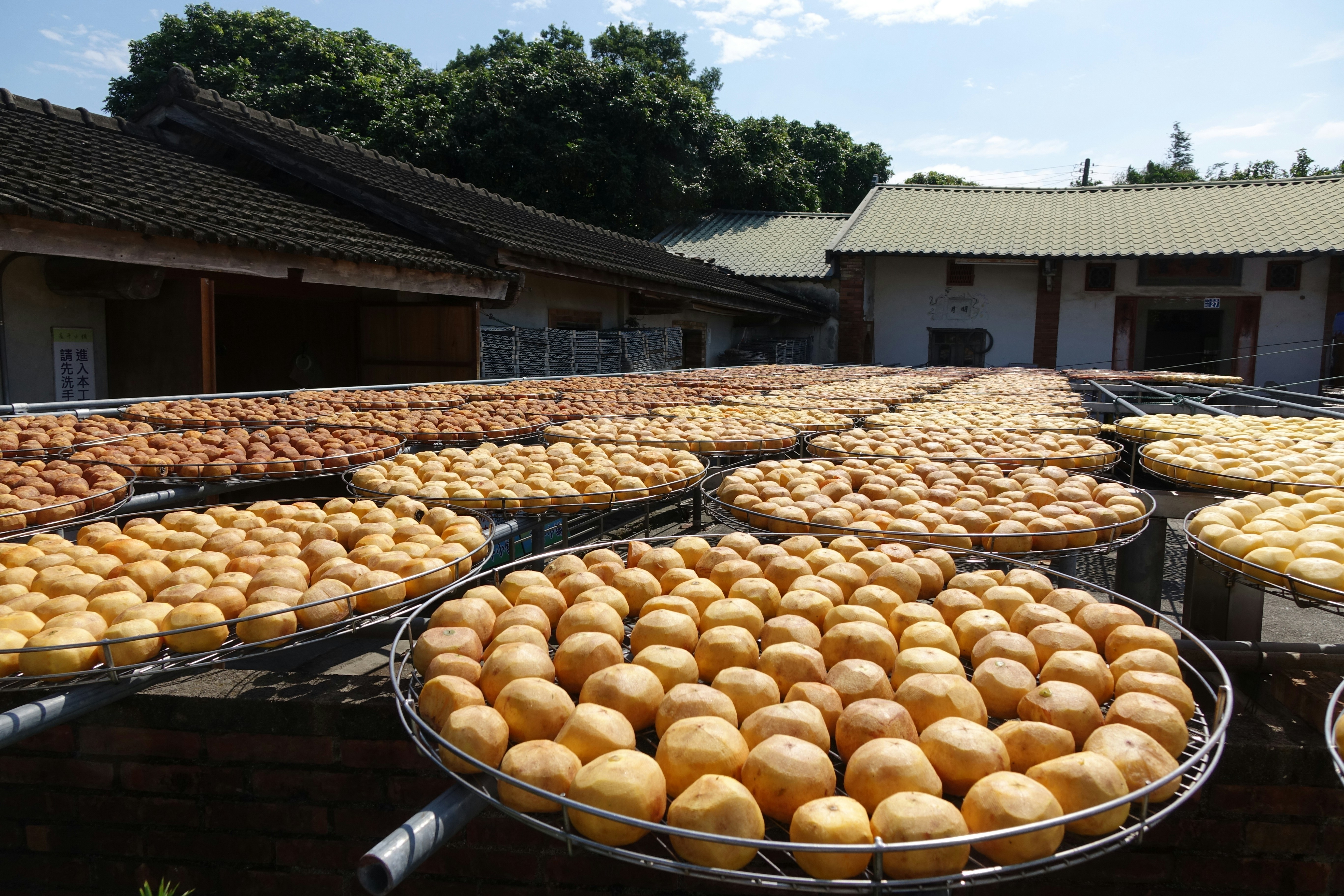 Rows of golden buns cooling on circular metal racks outdoors in a bakery courtyard.
