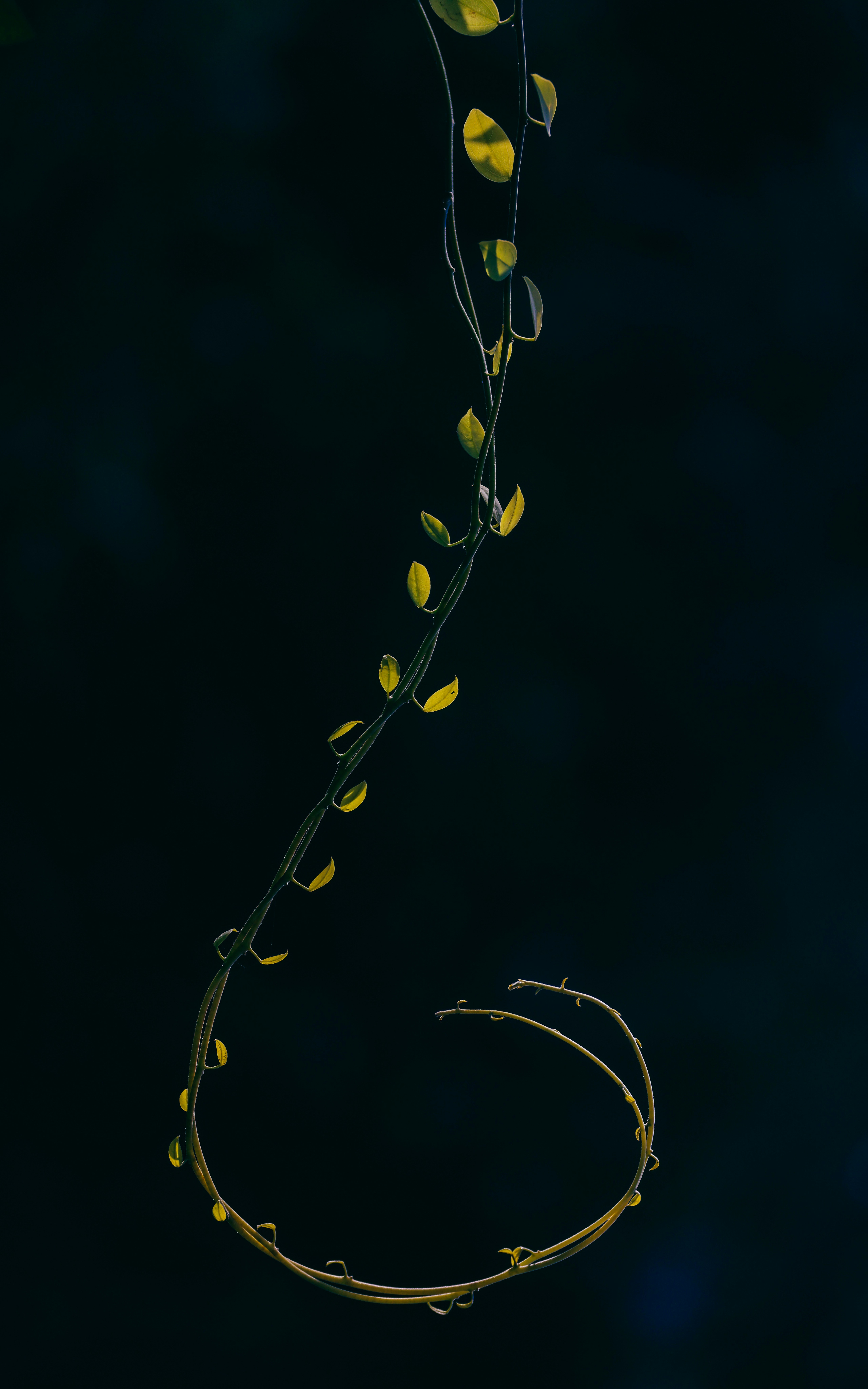 Photo by DL314 Lin with Canon EOS R5