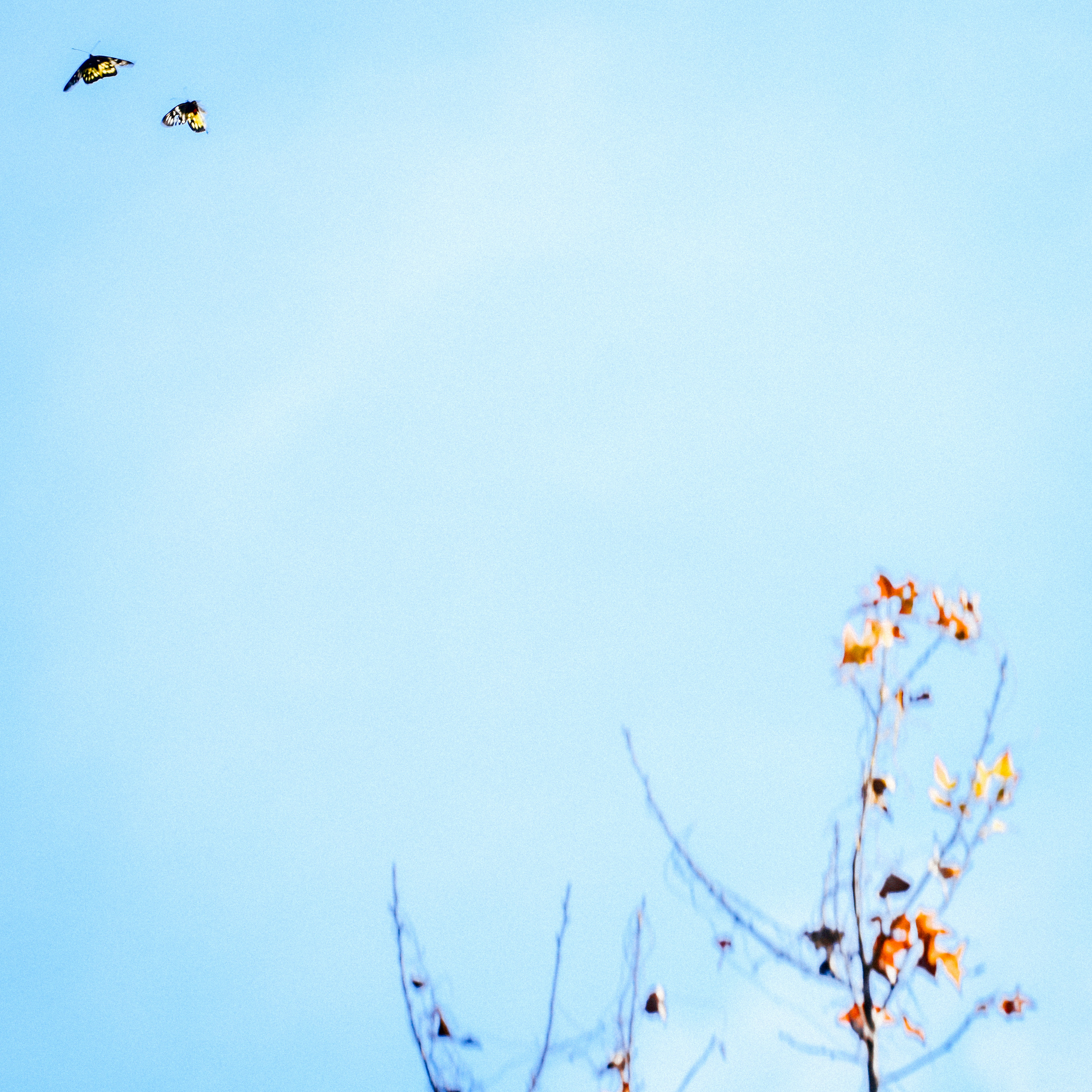 Photo by DL314 Lin with Canon EOS R5