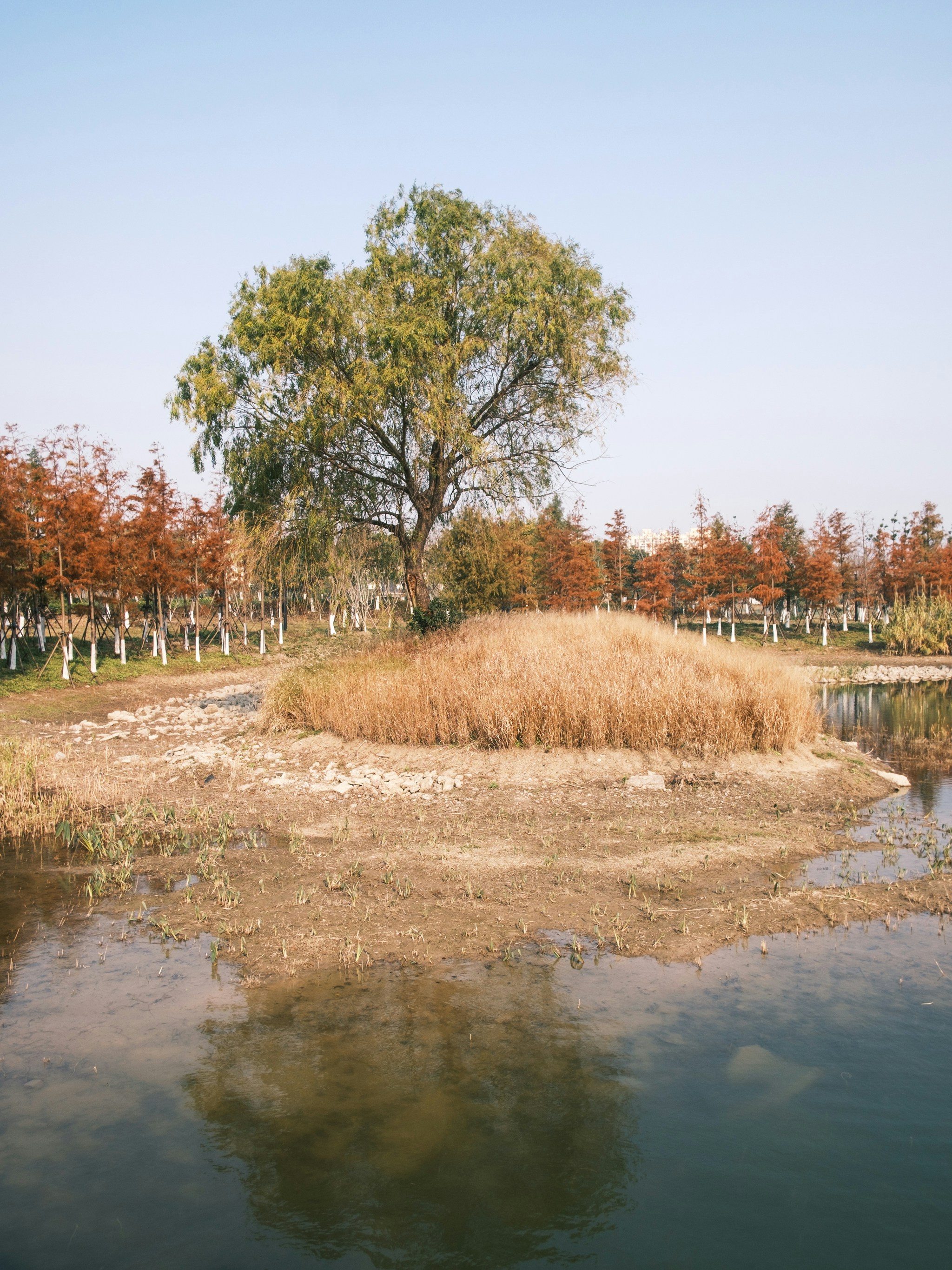 A small island in the middle of a lake photo – Free Travel Image on ...