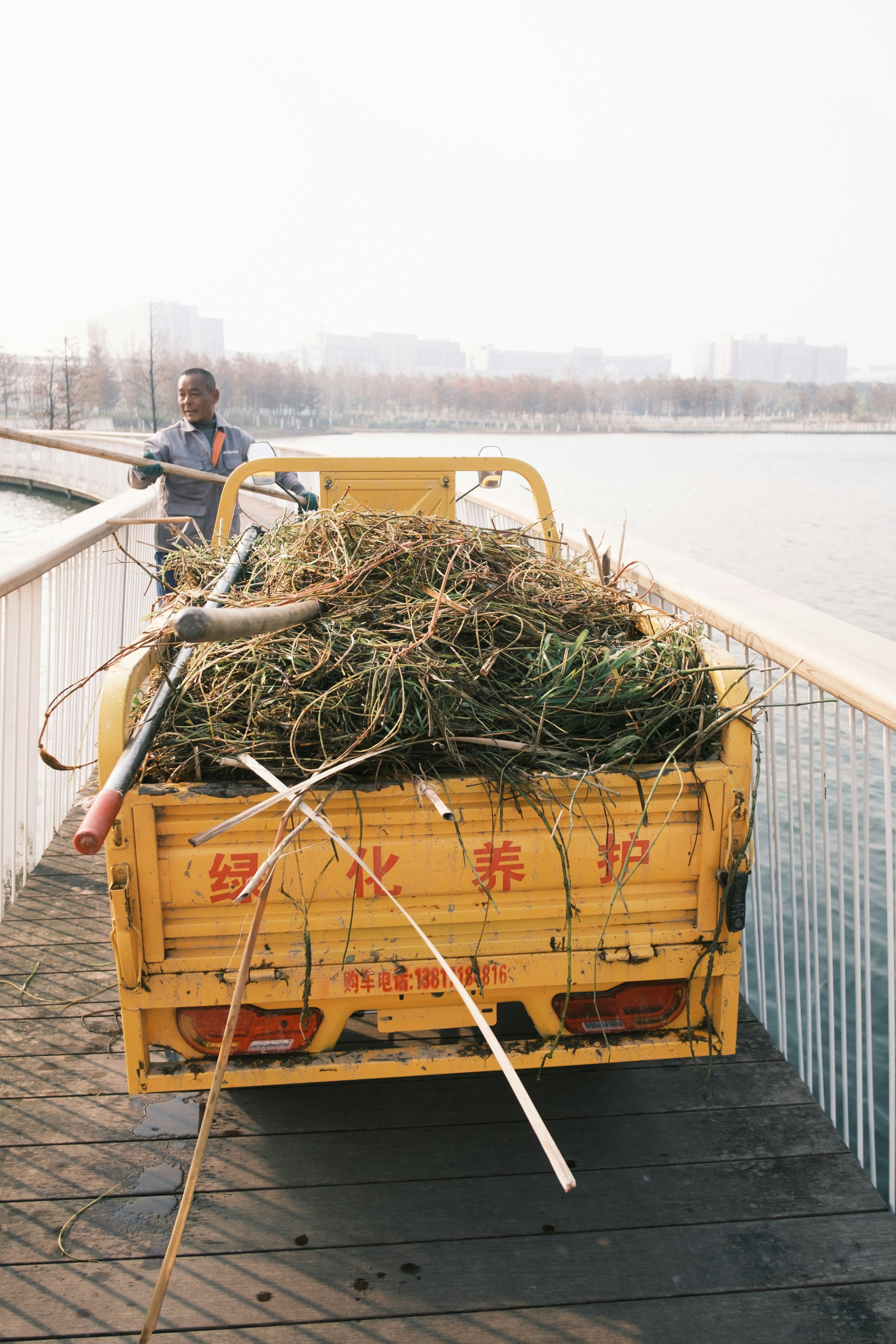 Branch-Laden Yellow Hauler on a Riverside Pier
