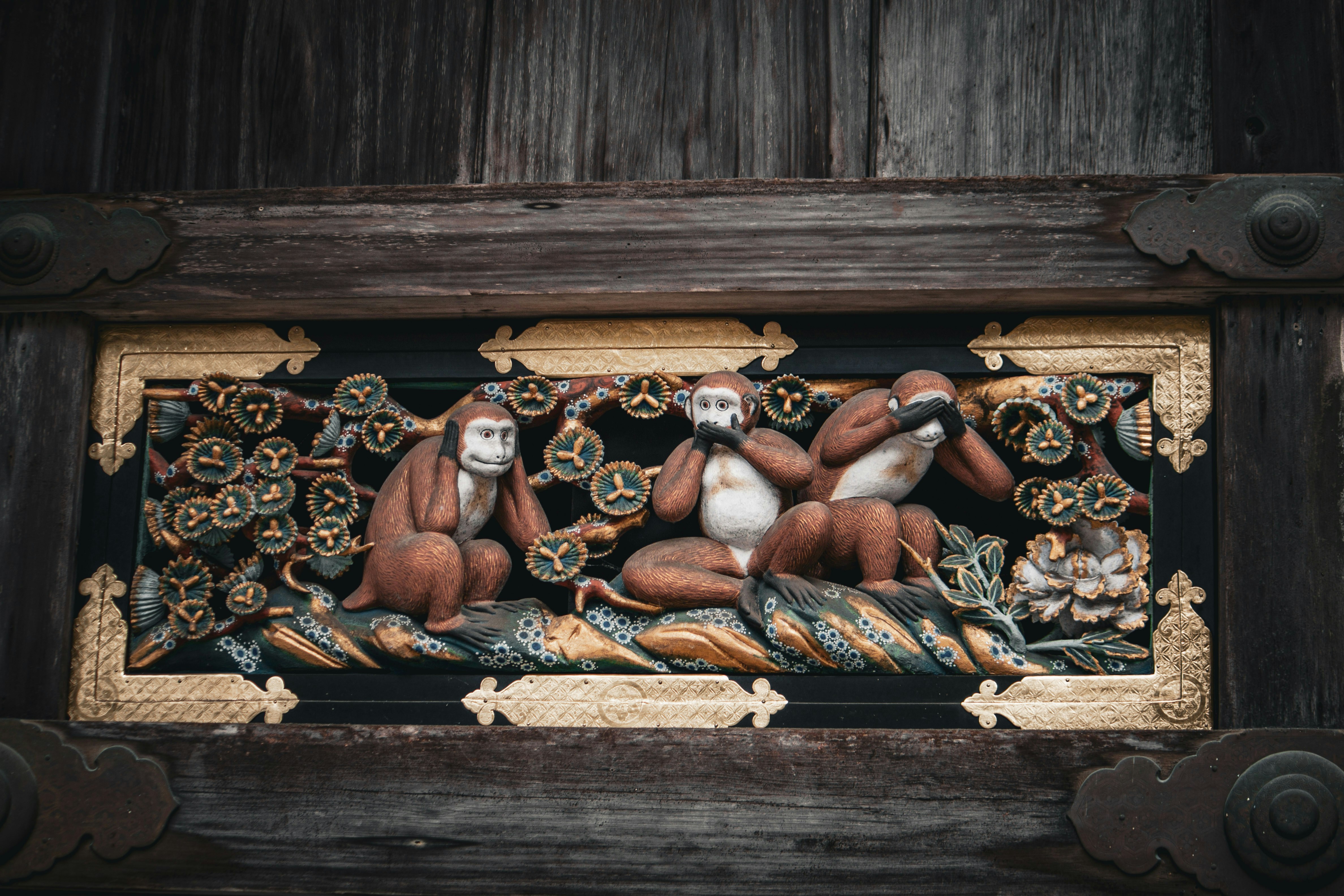 A group of monkeys sitting on top of a wooden frame photo – Free Art ...