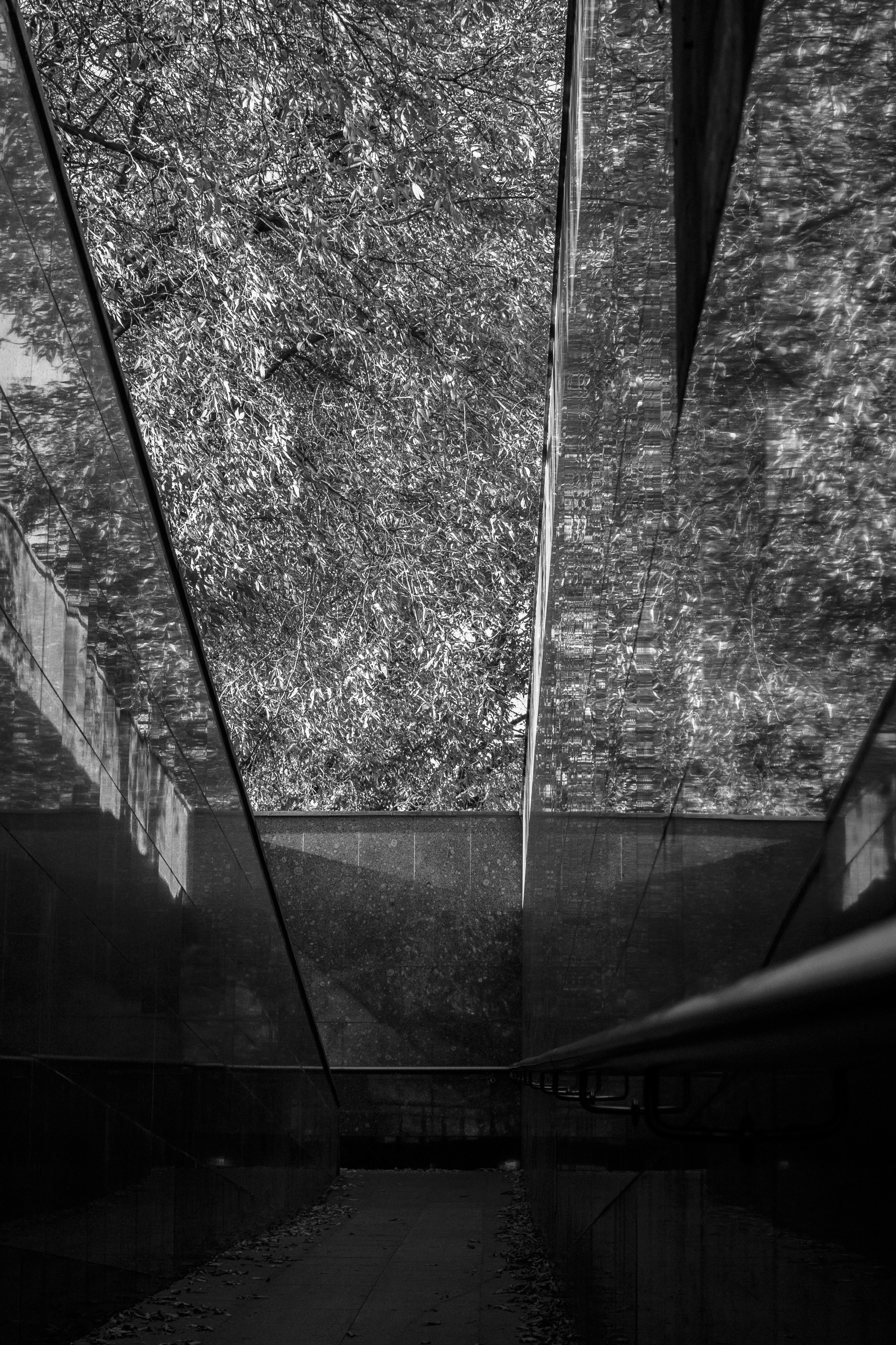 A black and white photo of a walkway