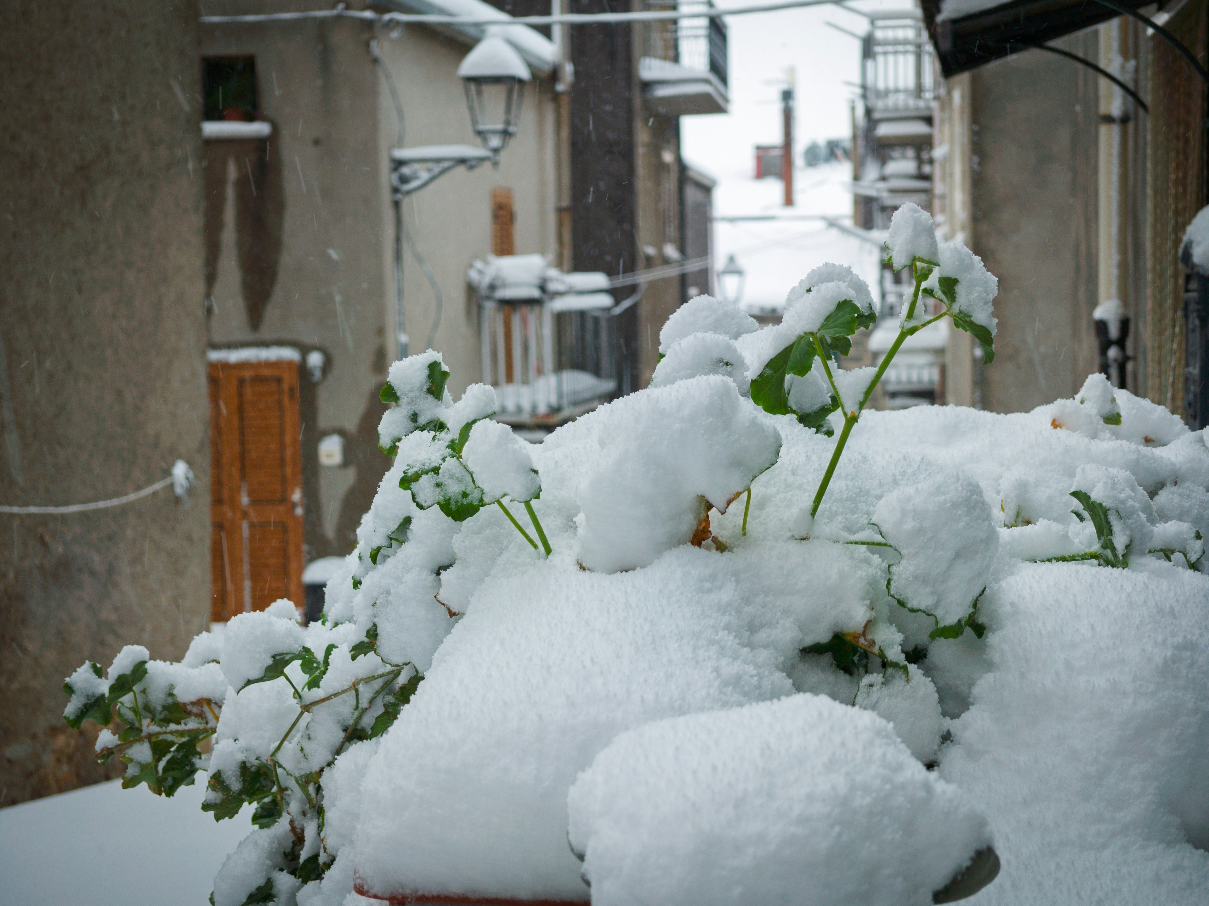 Sample photo from Honor Magic6 Pro