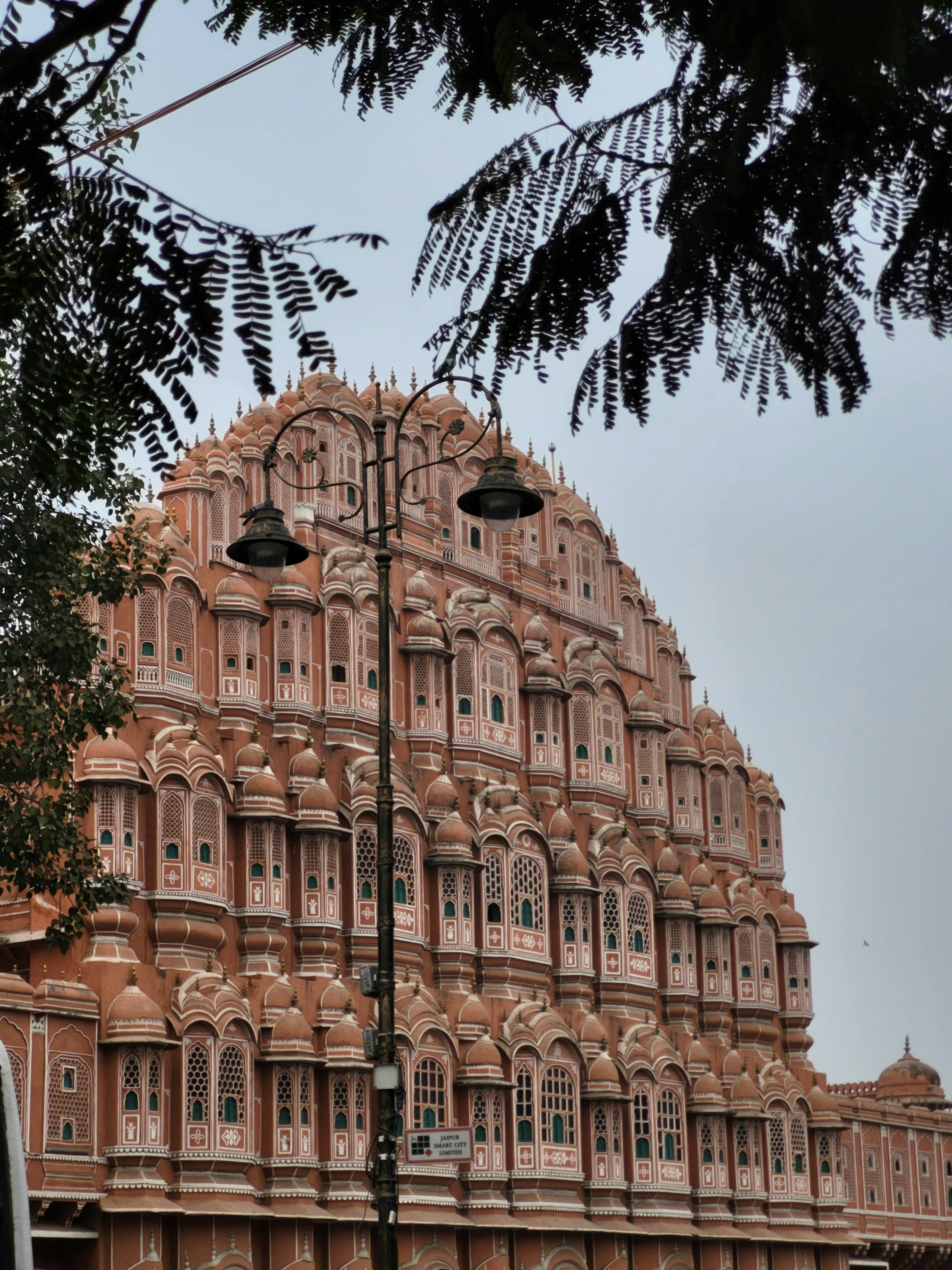 Historic pink sandstone facade with intricate windows framed by lush tree branches.