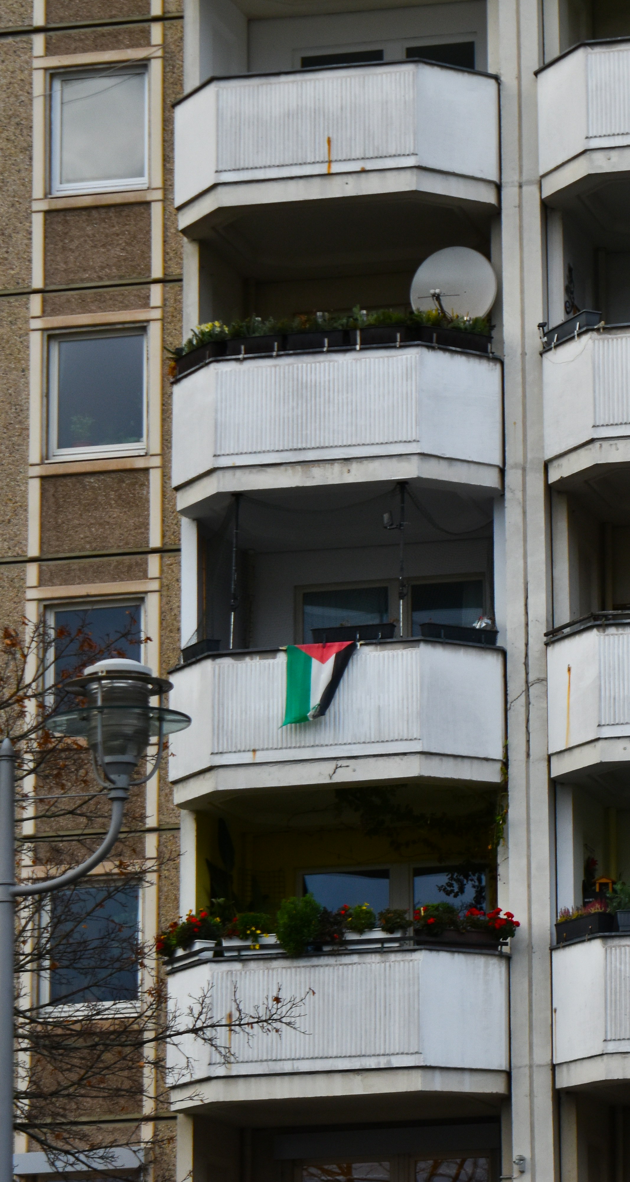 Photo by Ahmed Slimene with Nikon D3500