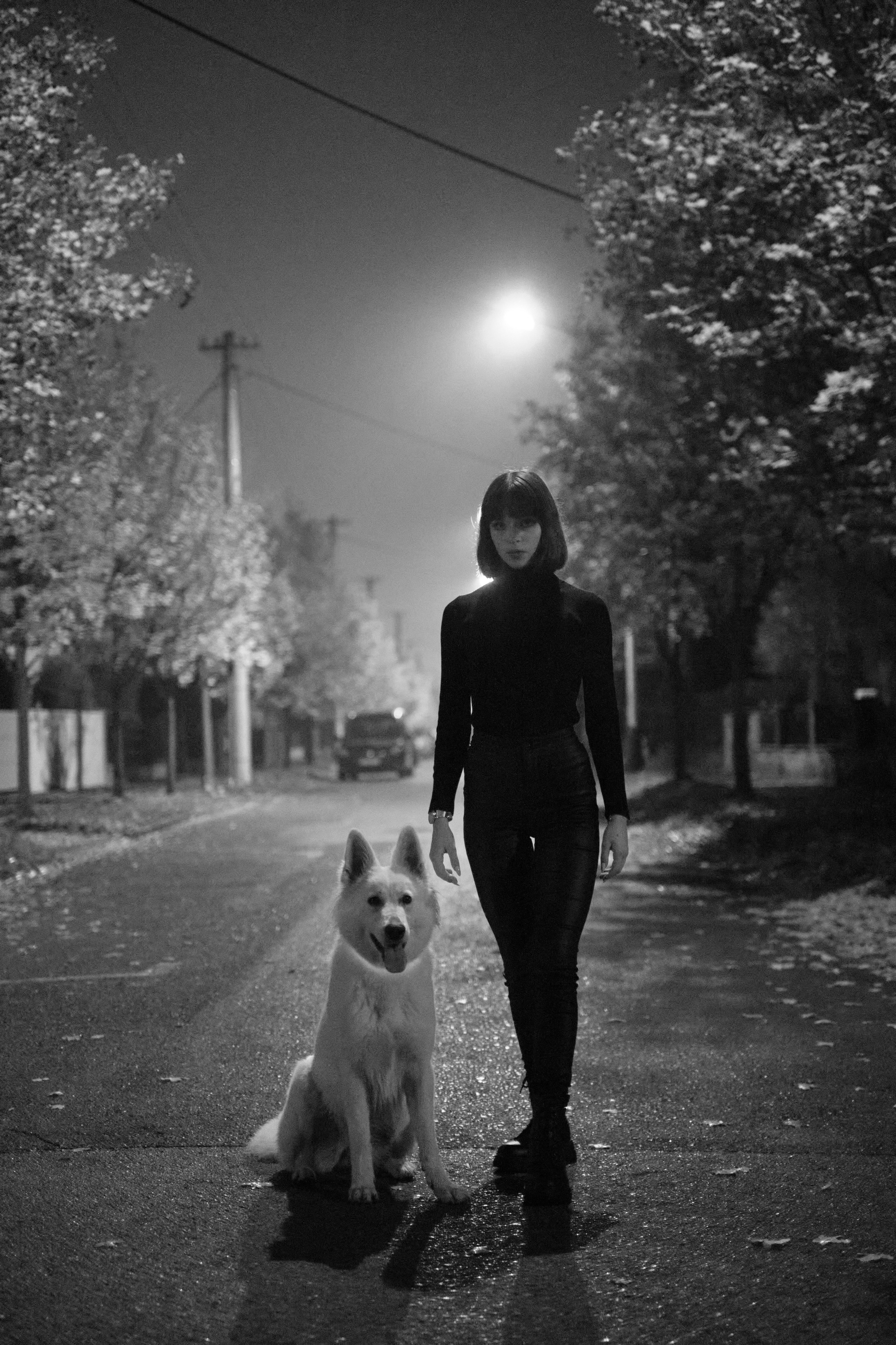 A woman walking a dog down a street at night photo – Free Car Image on ...