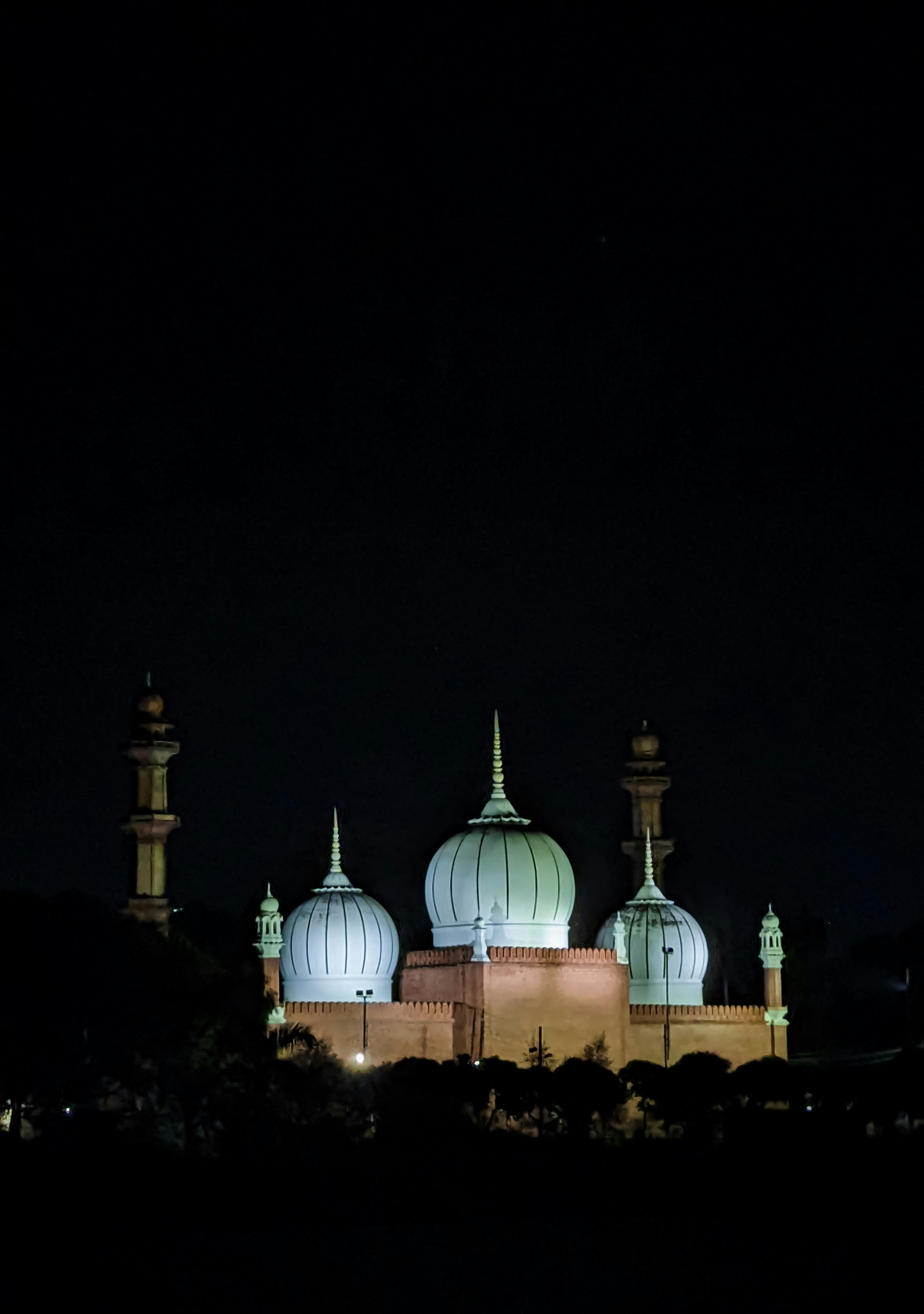 Illuminated domes of a mosque against a dark night sky.