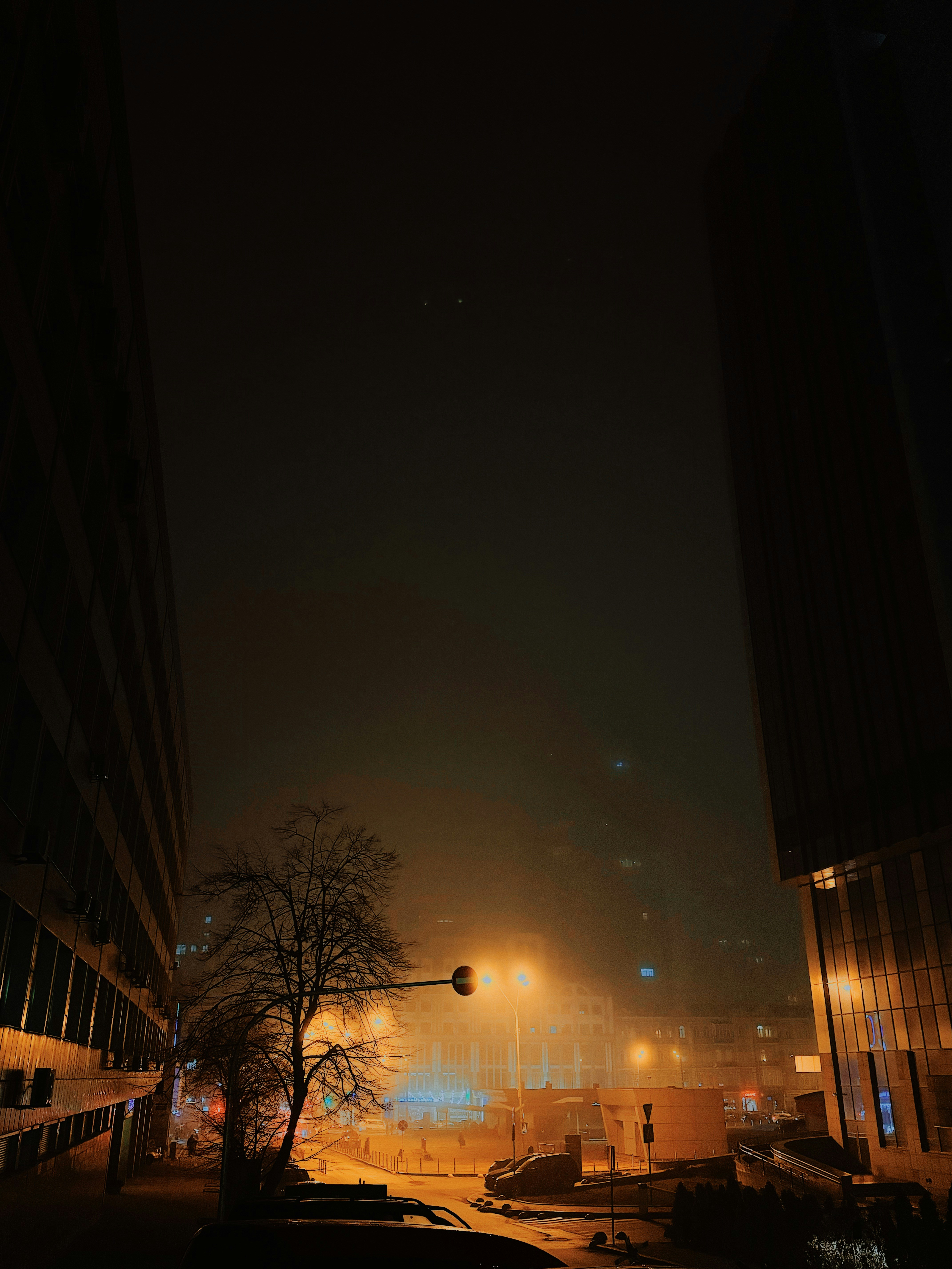 Orange Haze Between Tall Silhouettes on a Quiet Night Street