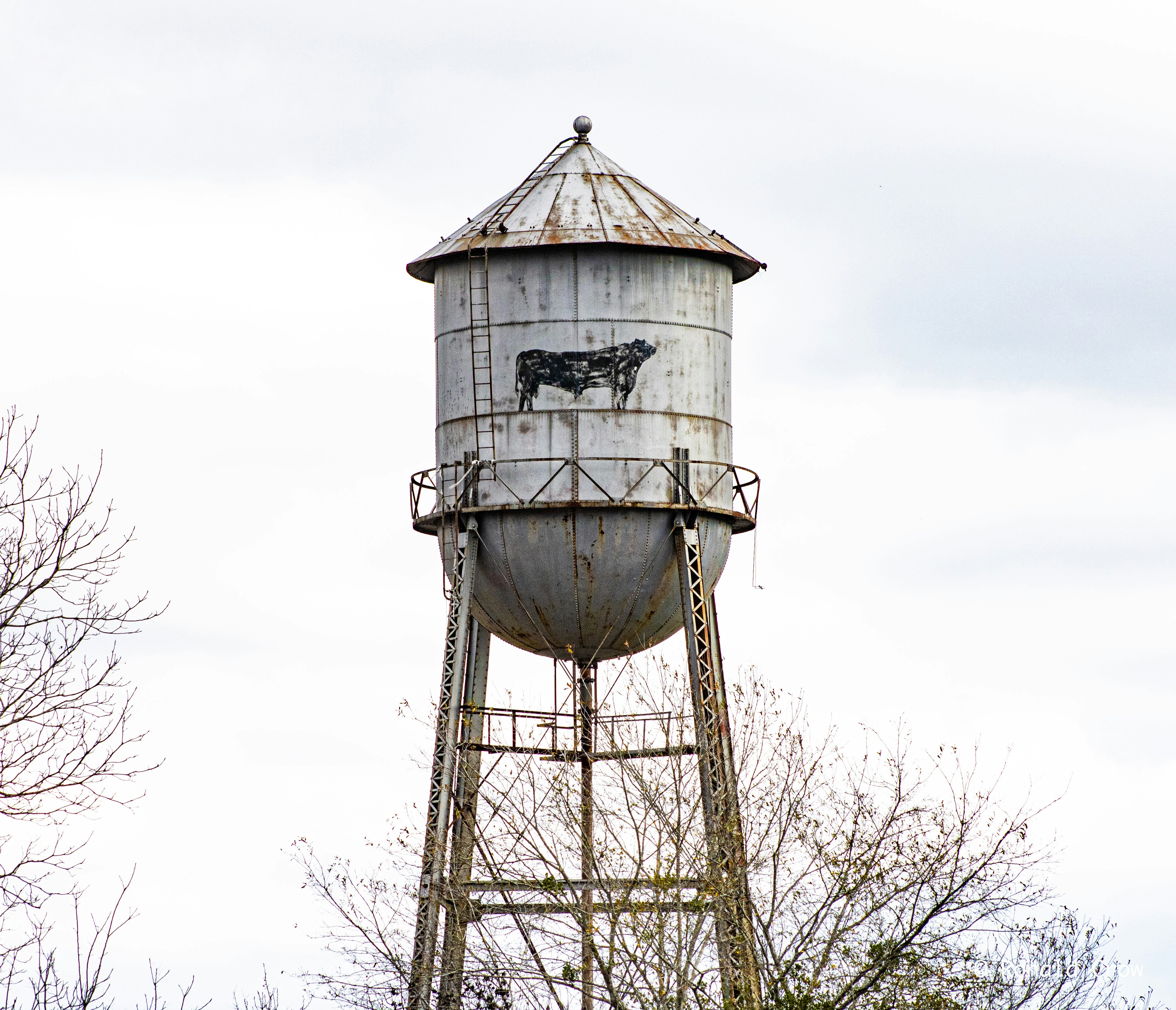 An old water tower with a cow on it photo – Free Deberry Image on Unsplash