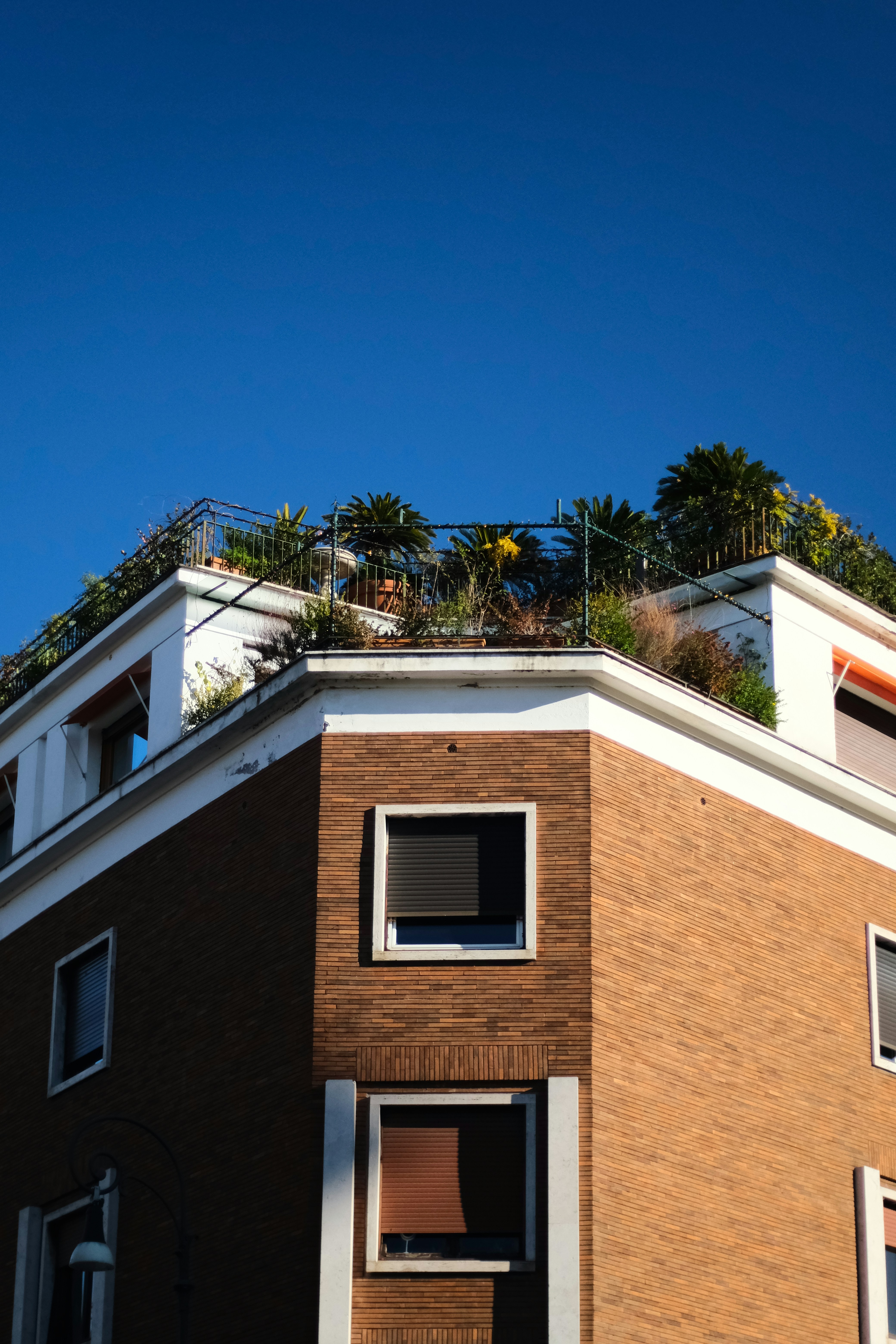 Photo by Daria Vasylieva with Fujifilm X-T30 II