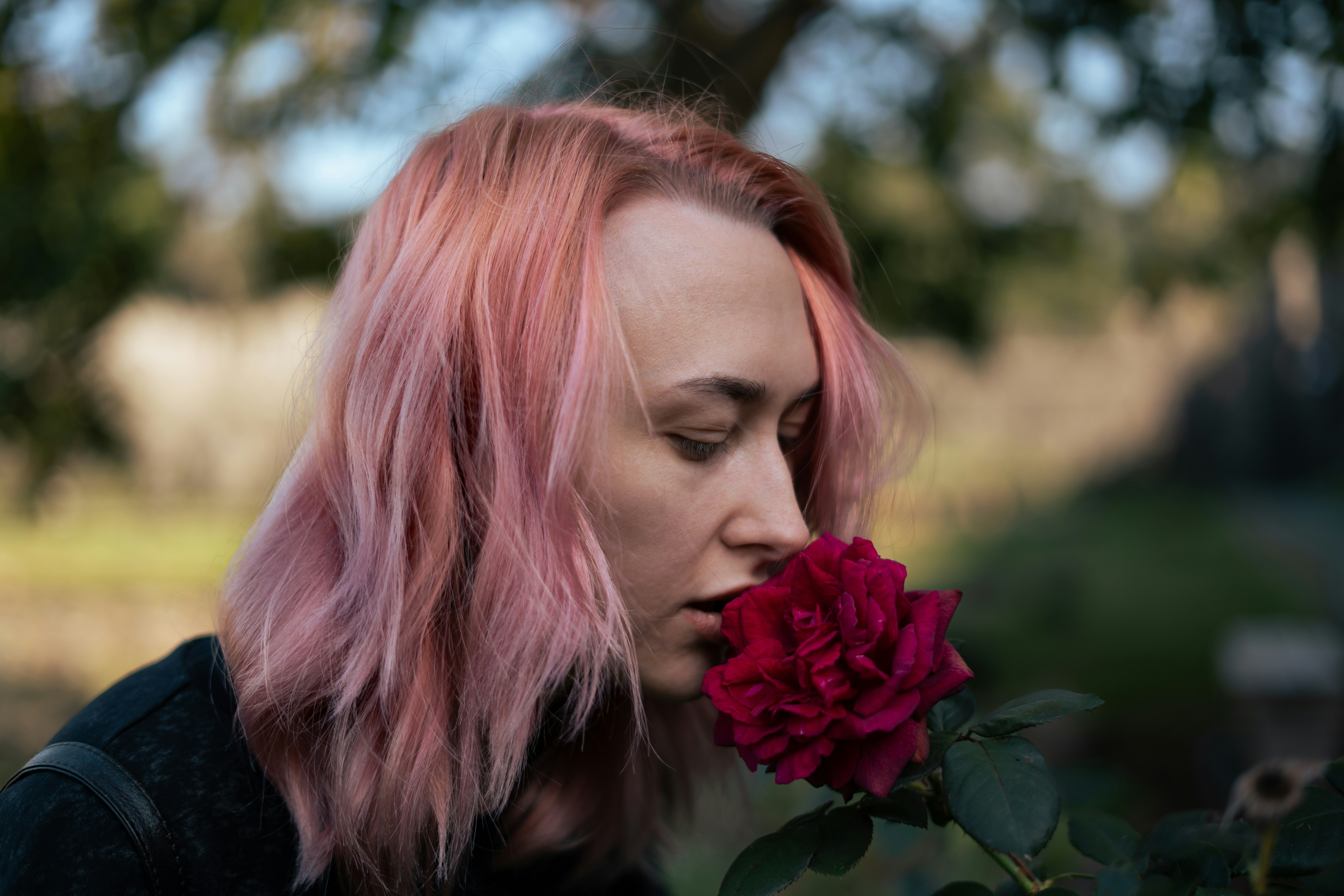 Crimson Rose, Pink Hair: A Quiet Portrait in Dappled Light