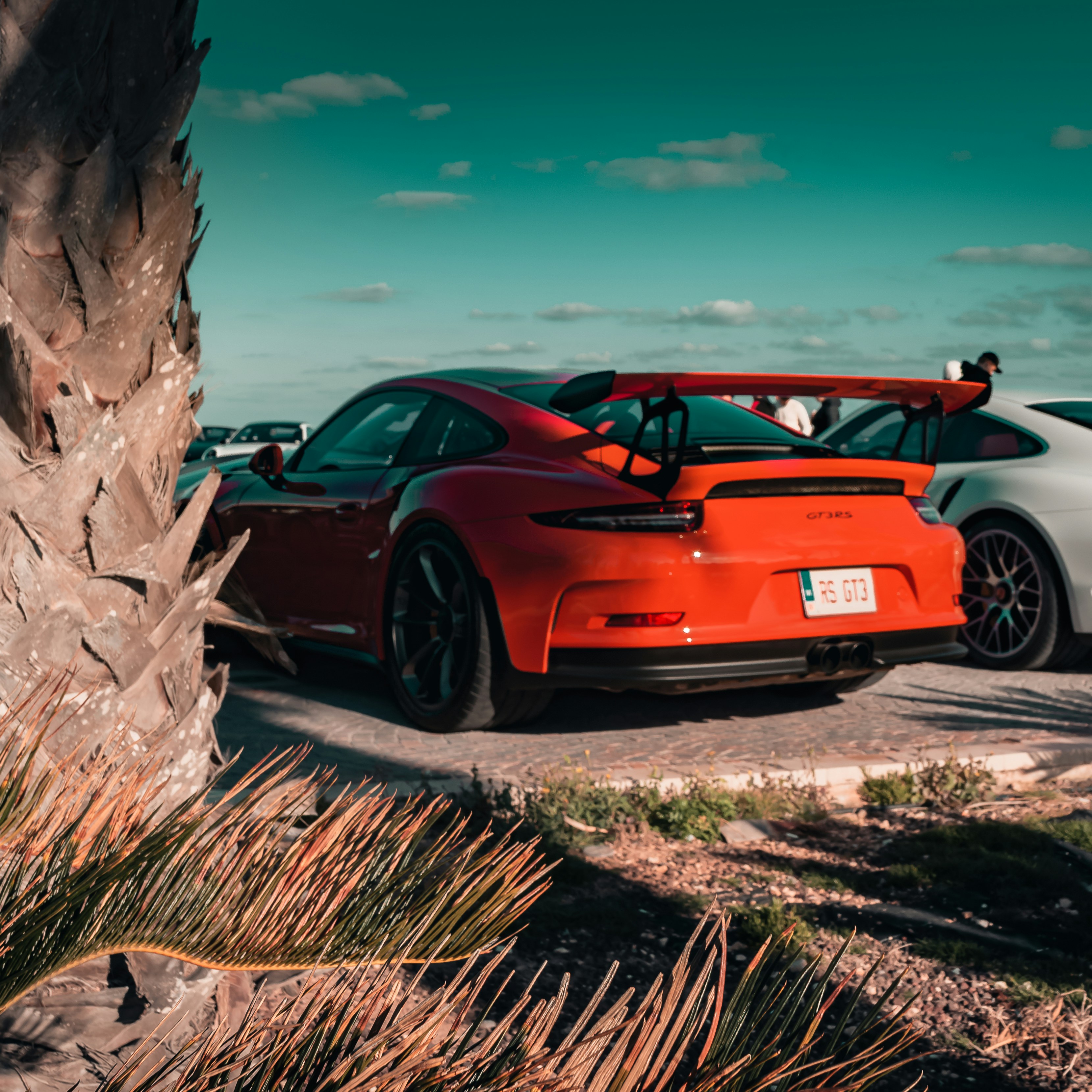 Porsche Meet at Malta's National Aquarium.