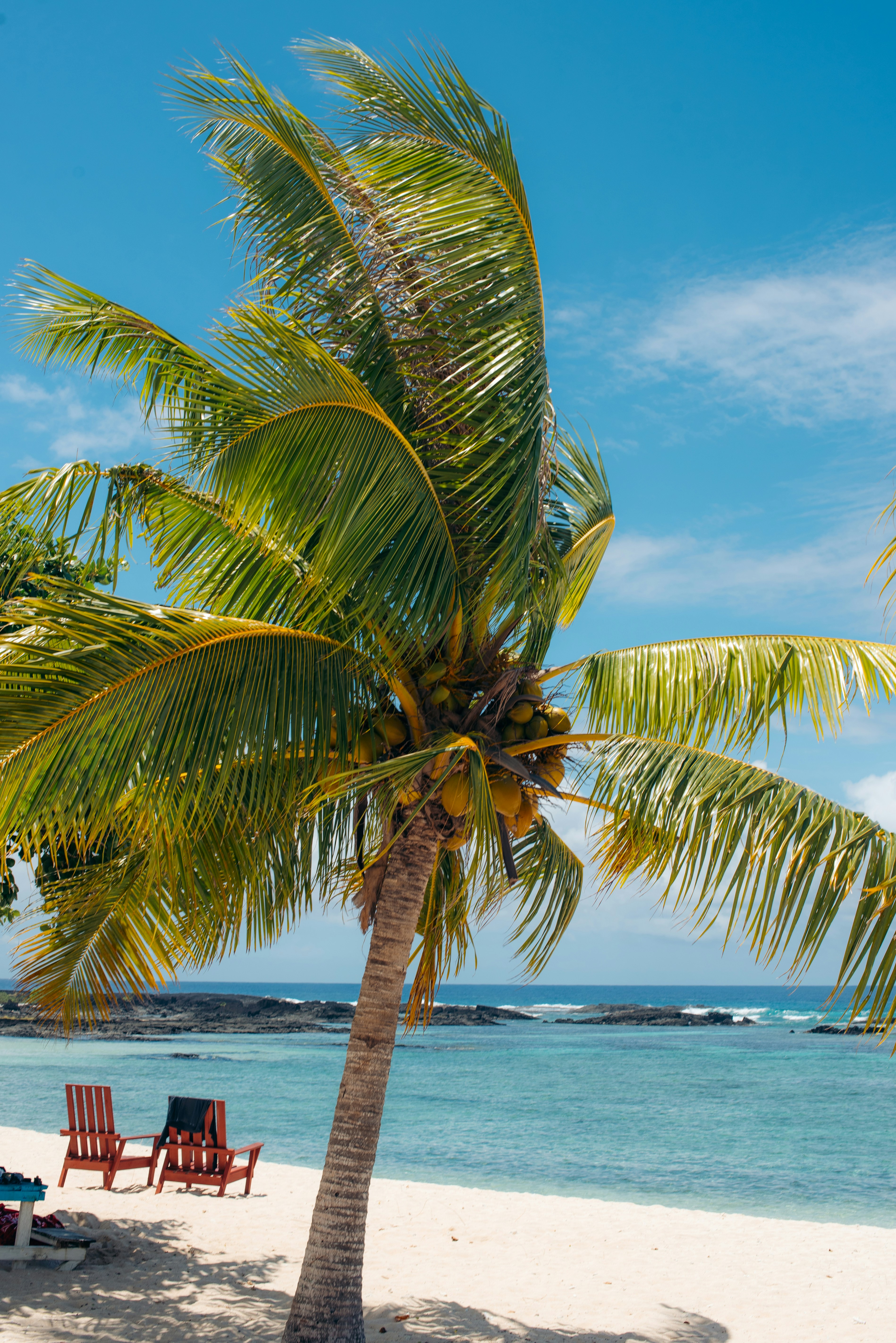 Samoan Pictures | Download Free Images on Unsplash