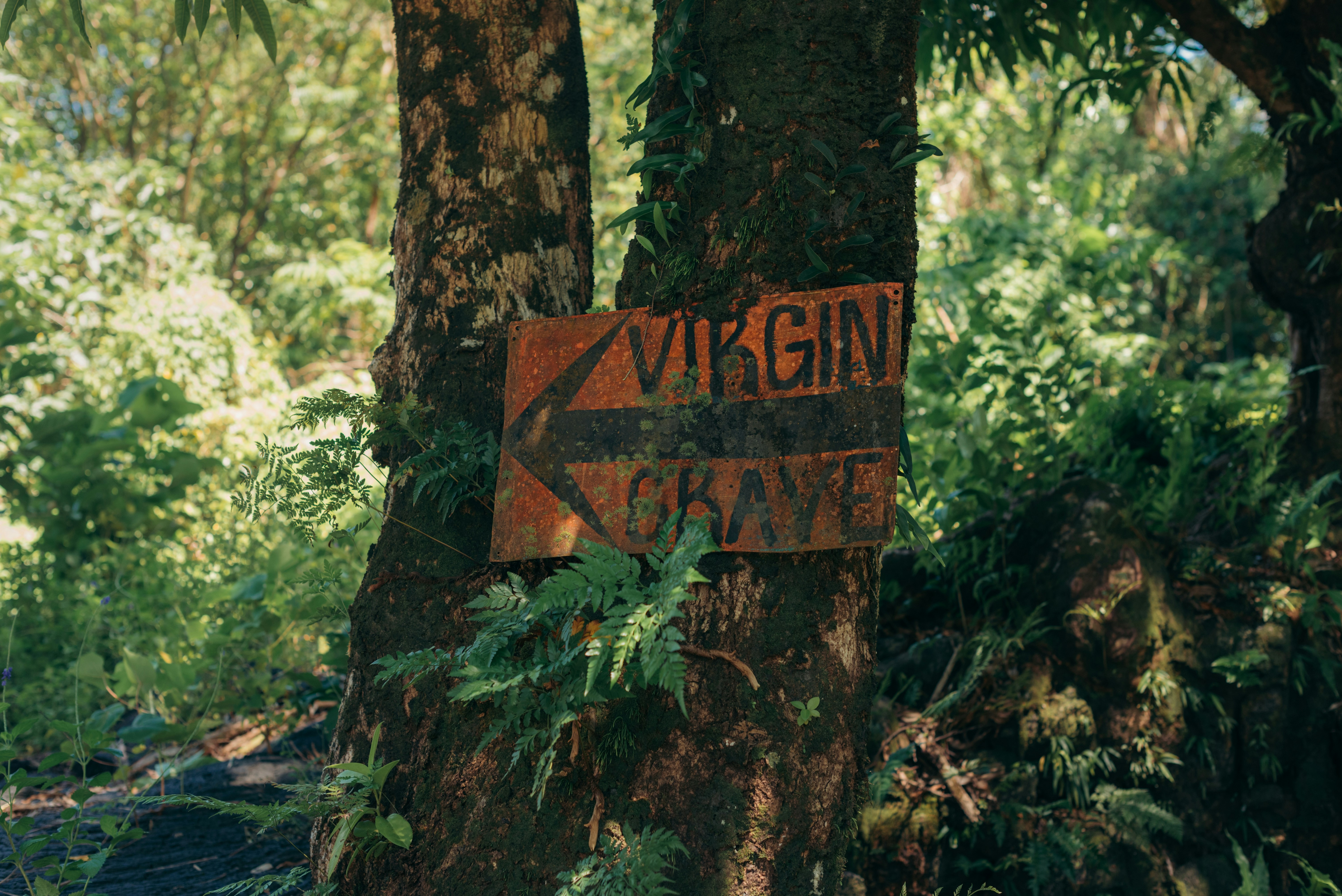 Photo by Nik Schmidt with Nikon D750