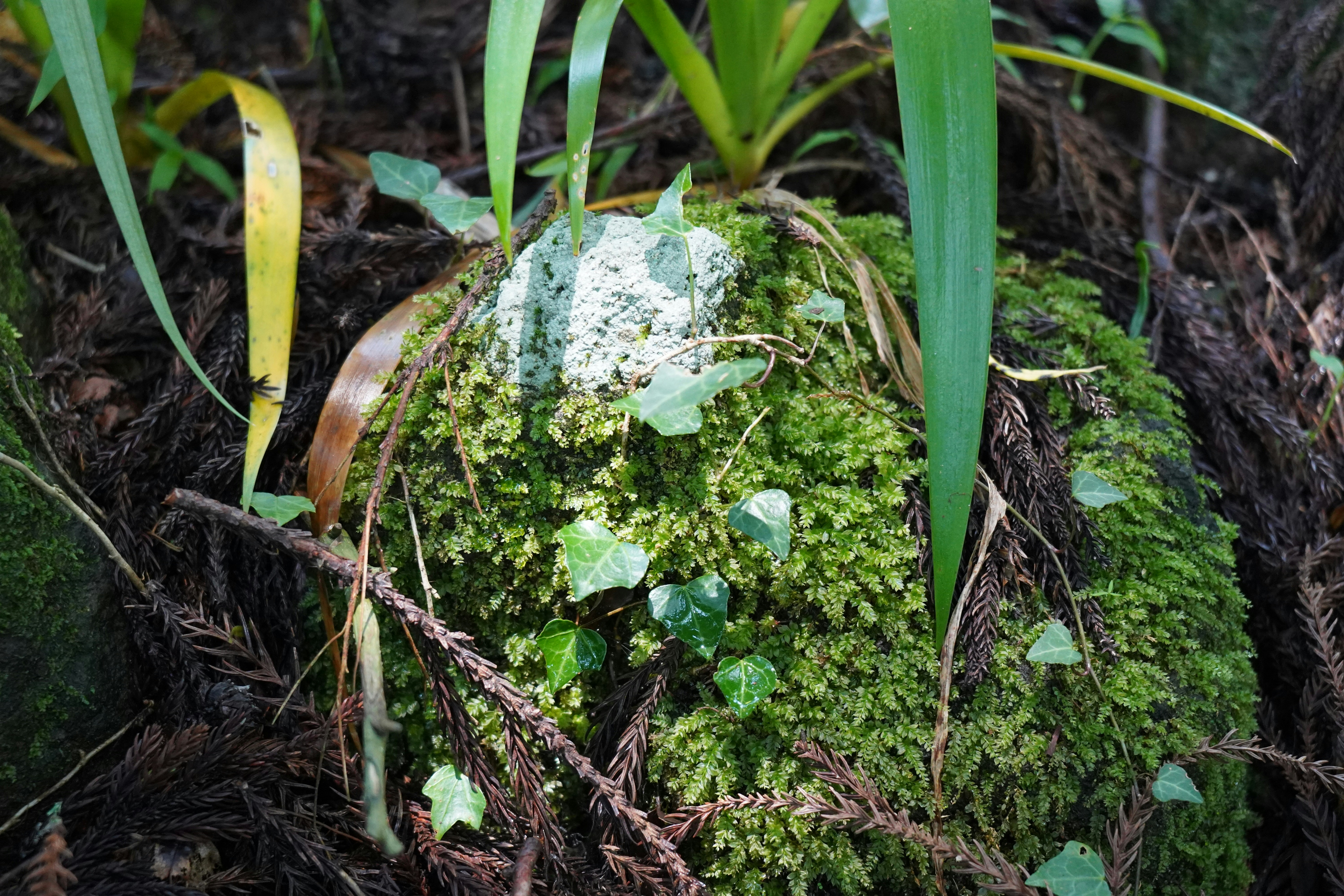 Michael Vinel (@master8_) | Comunidade de fotos da Unsplash