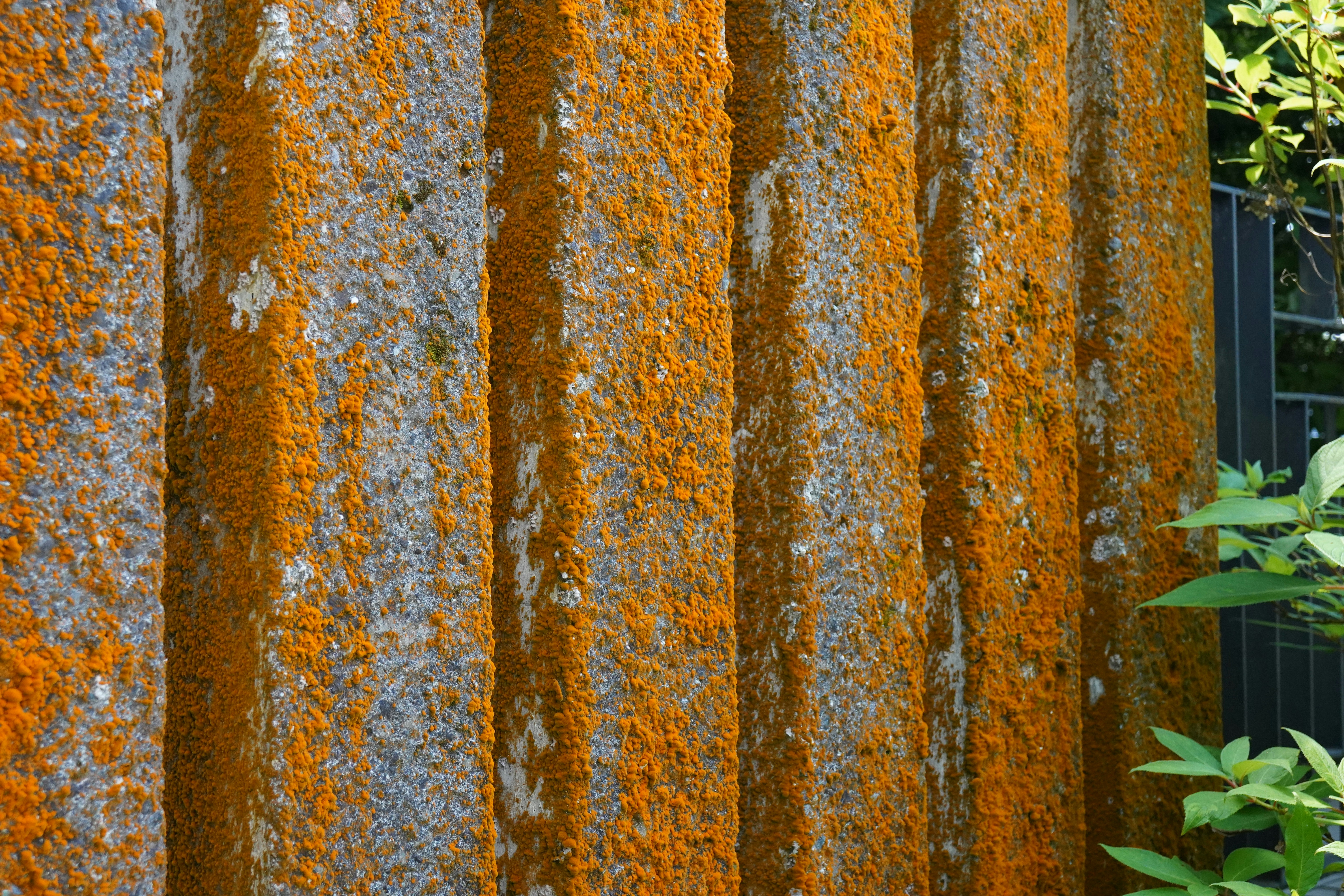 Surface Texture Pictures | Download Free Images on Unsplash