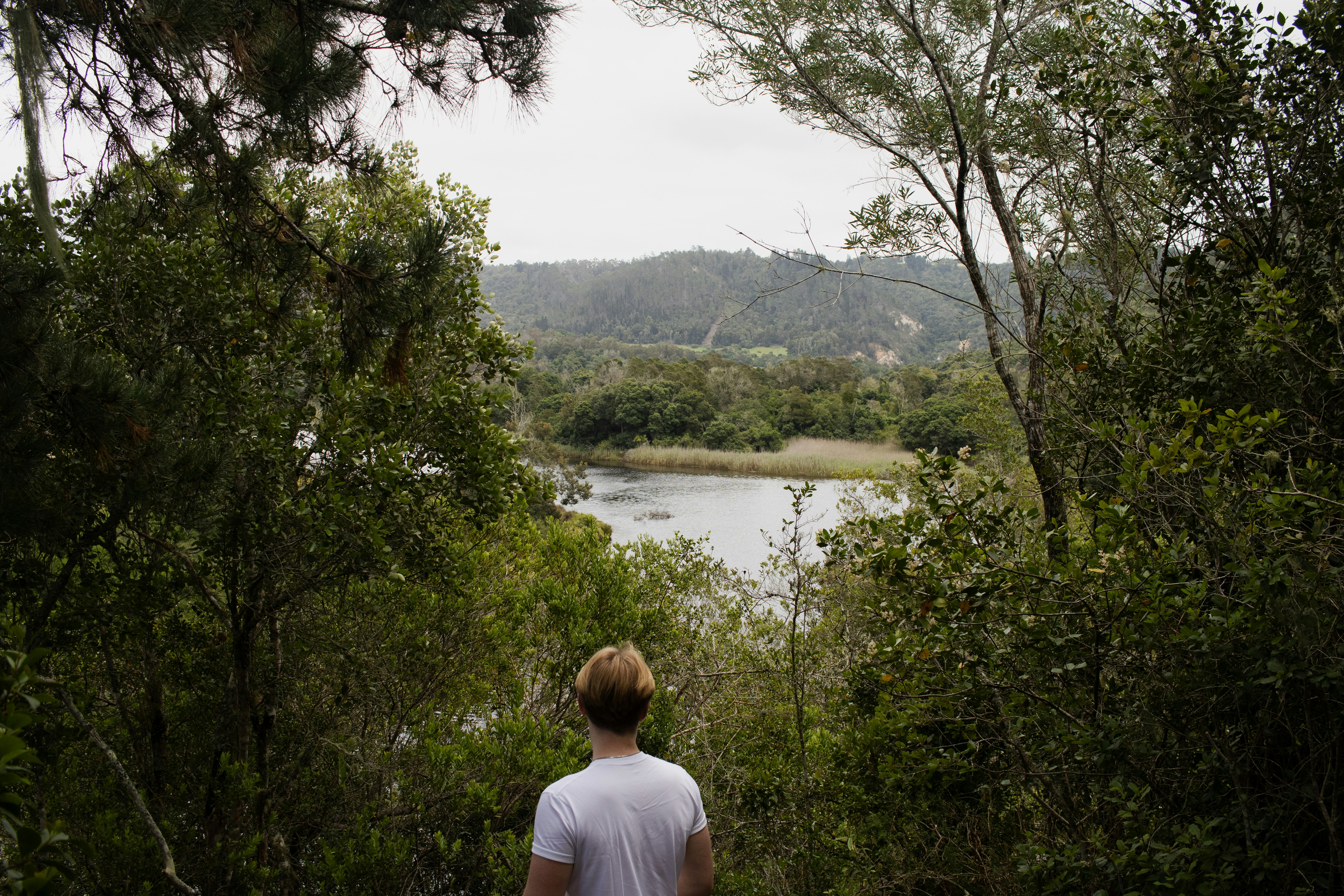 A man standing on a path looking out over a river photo – Free Jungle ...