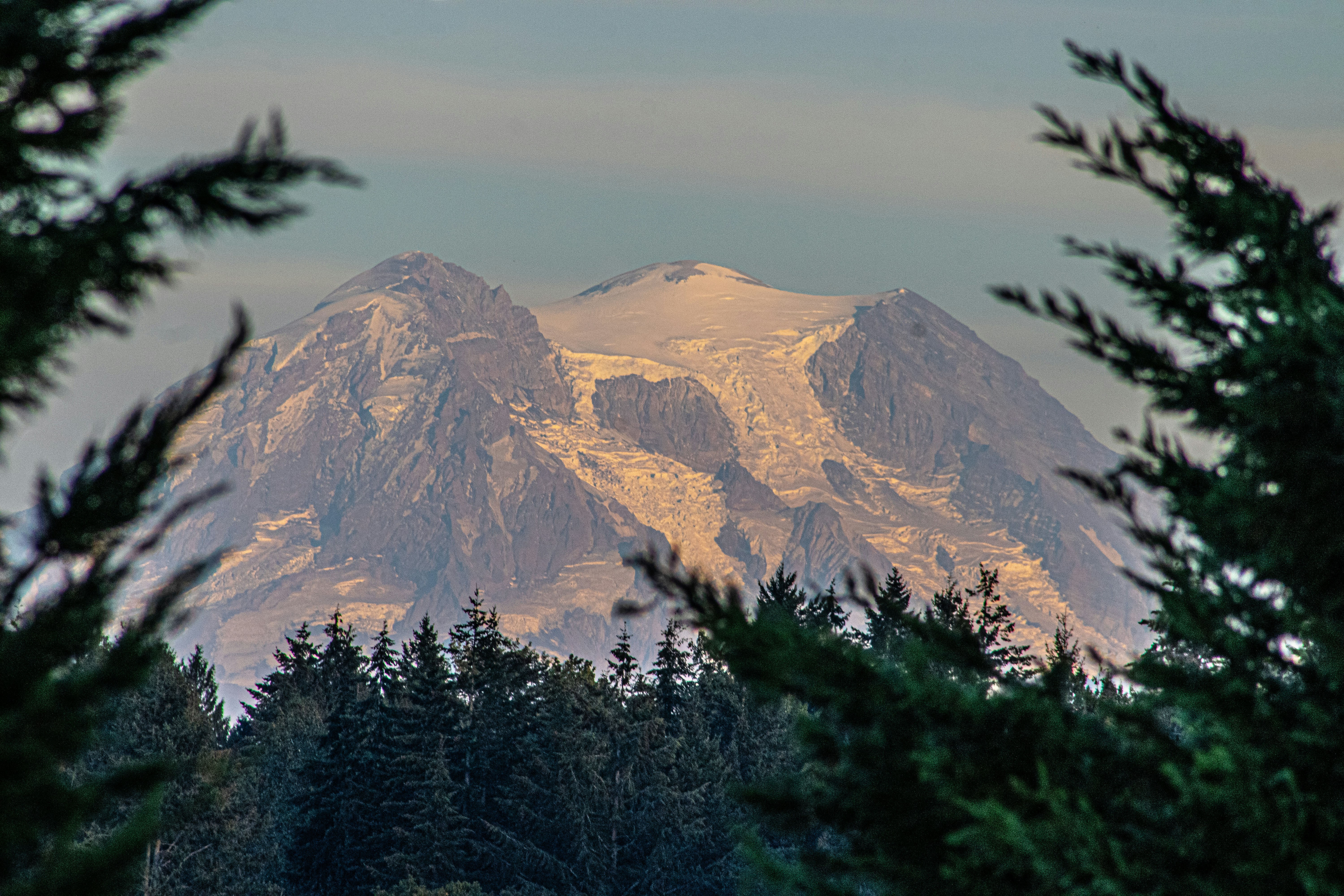 A view of a mountain through some trees photo – Free Yelm Image on Unsplash
