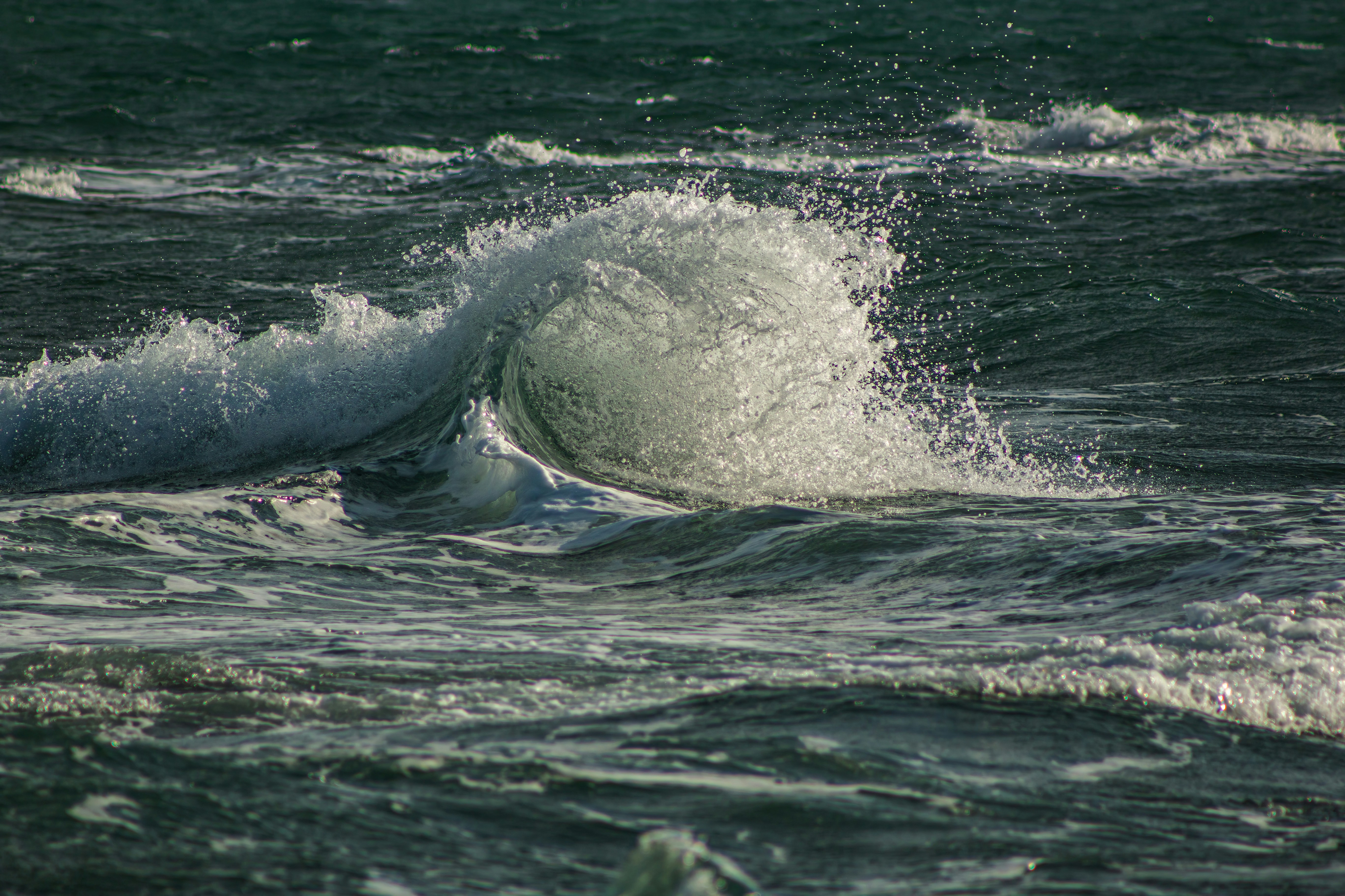 A person riding a wave on top of a surfboard photo – Free Sea Image on ...