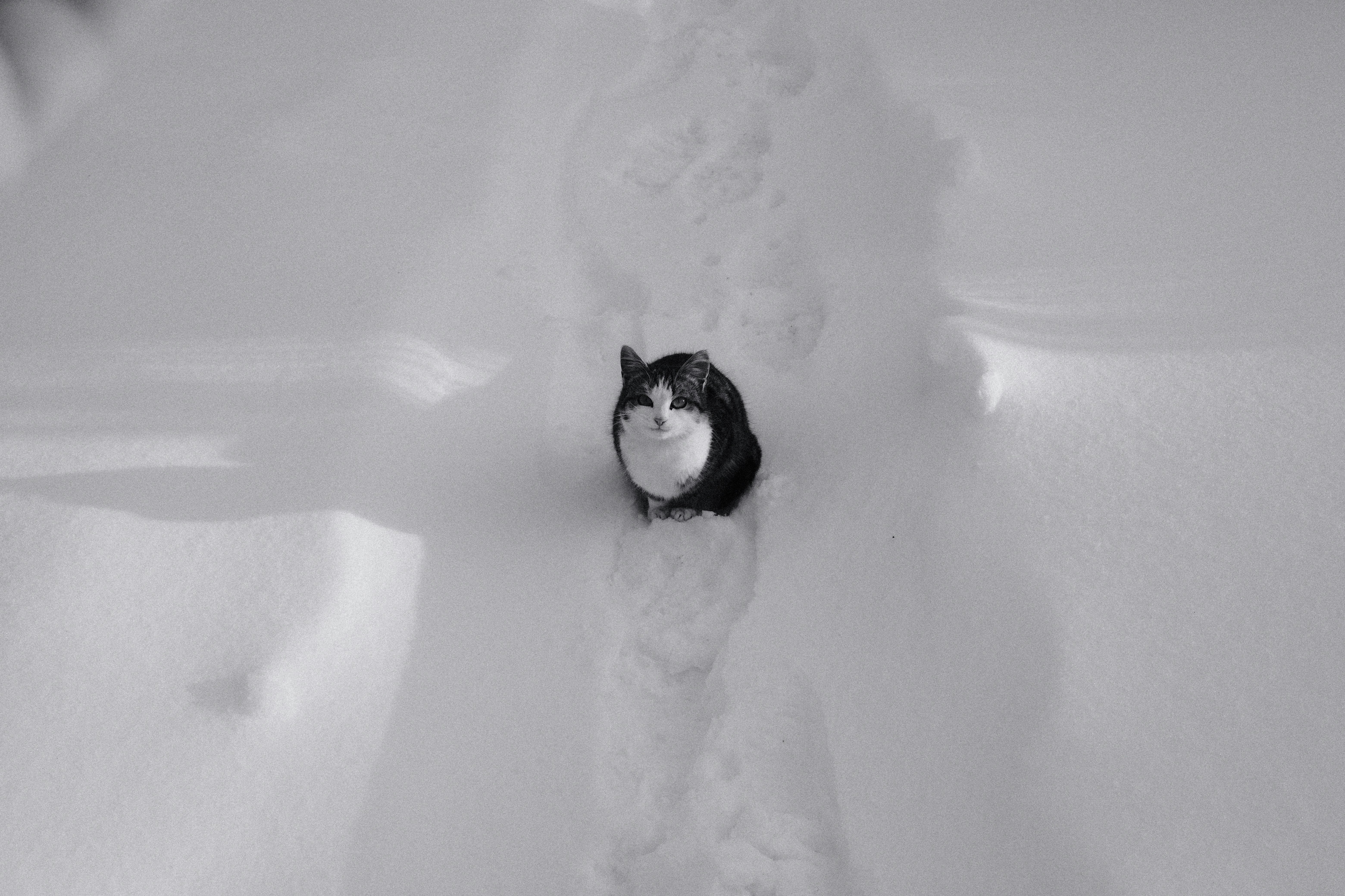 Photo by Ilnur with Fujifilm X-T30 II