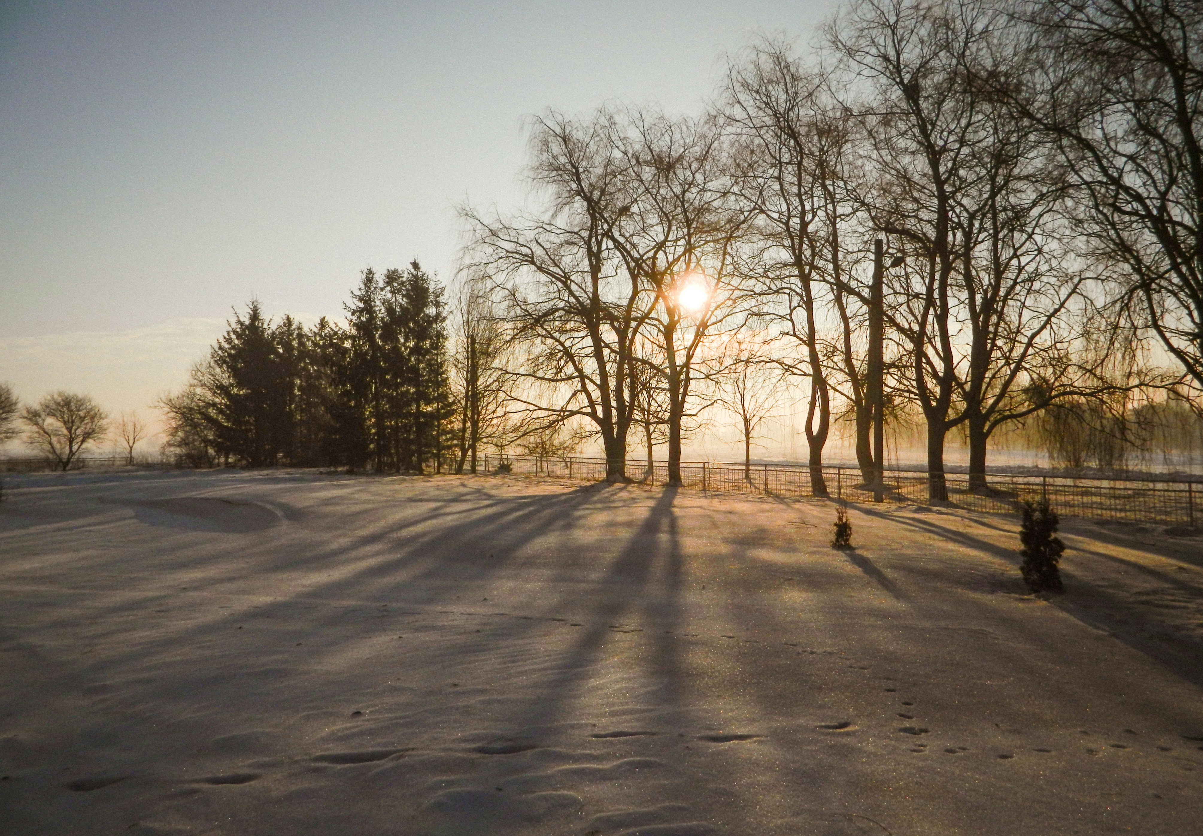 Sunlit Silence: Long Shadows Across a Snow-Blanketed Park