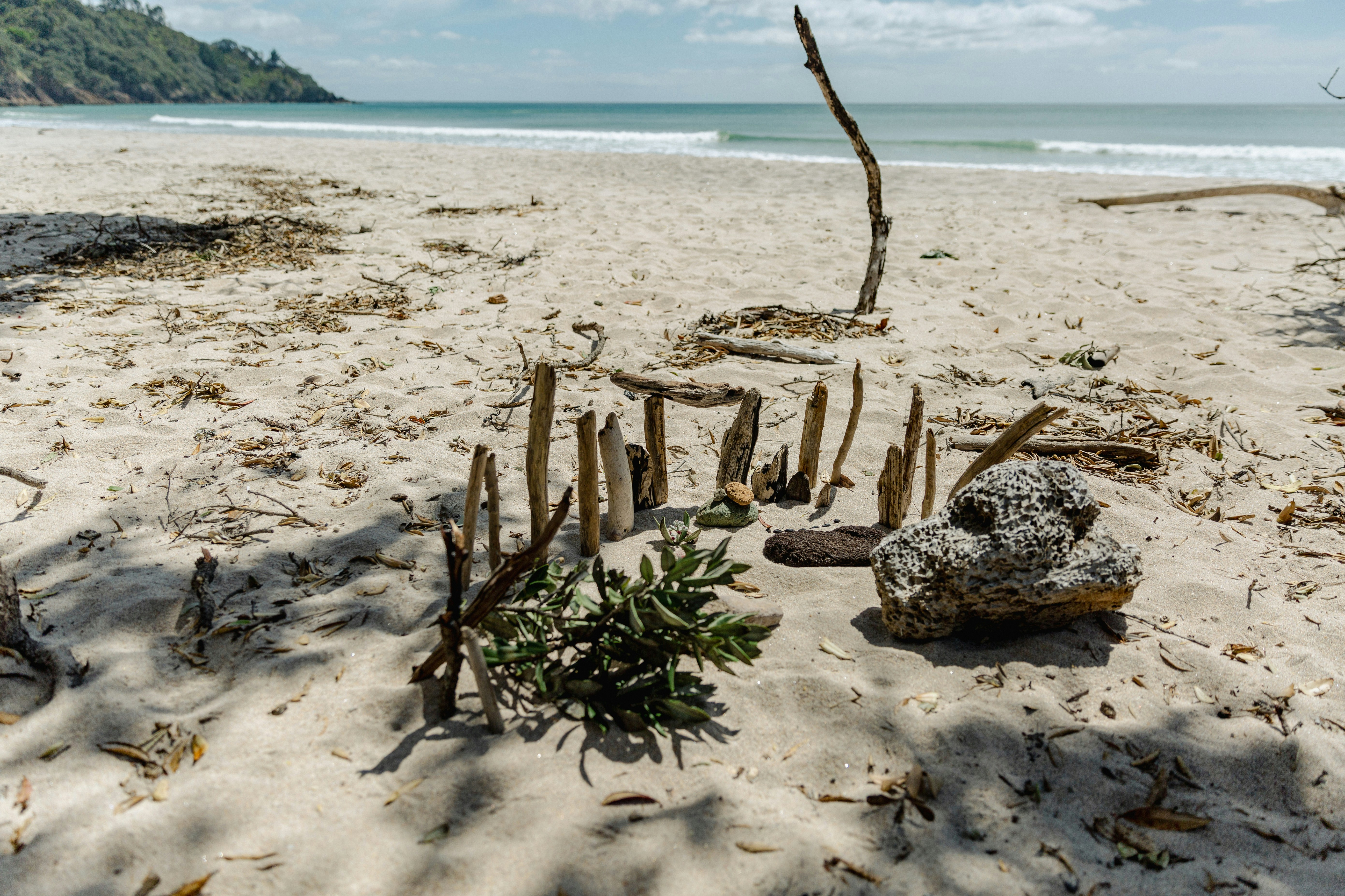 Driftwood Fence Assembly on a Quiet Seashore