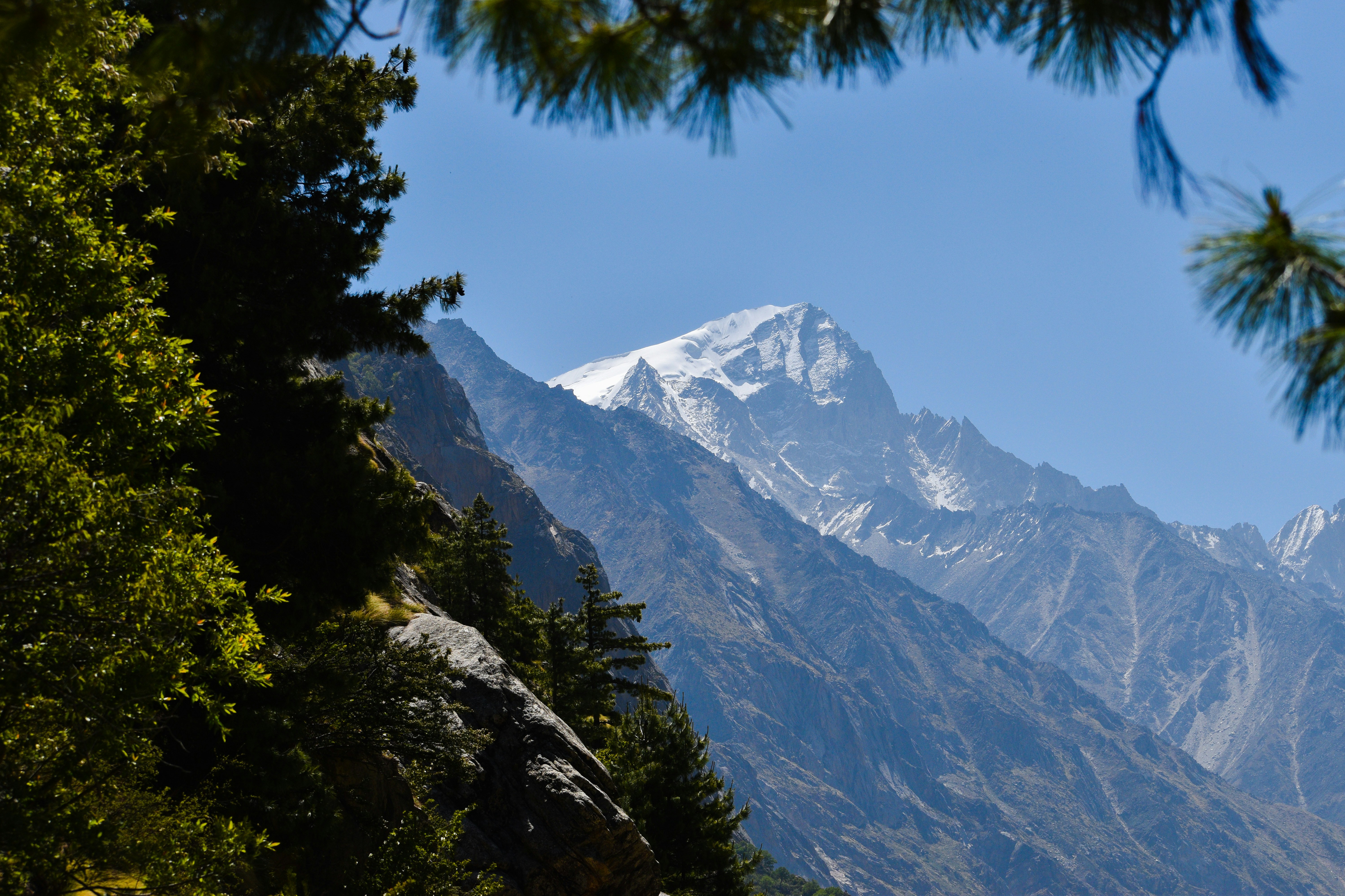 A view of a snow covered mountain through some trees photo – Free ...