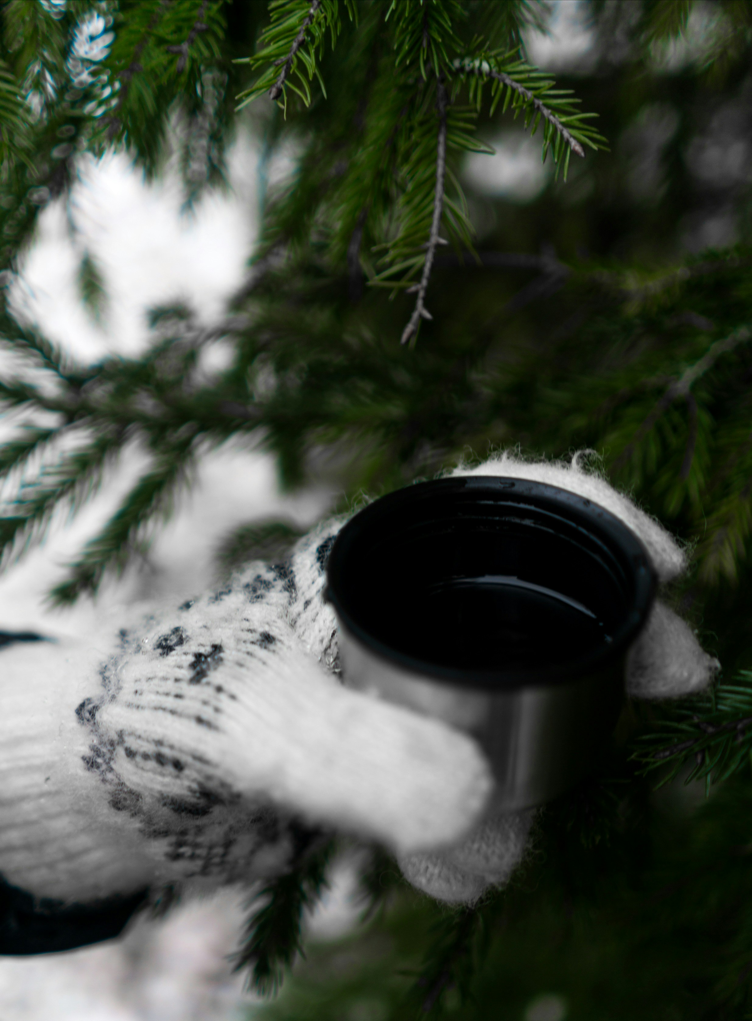 Snowbound Mitts Grasp a Lens Cap Beneath Pine Branches