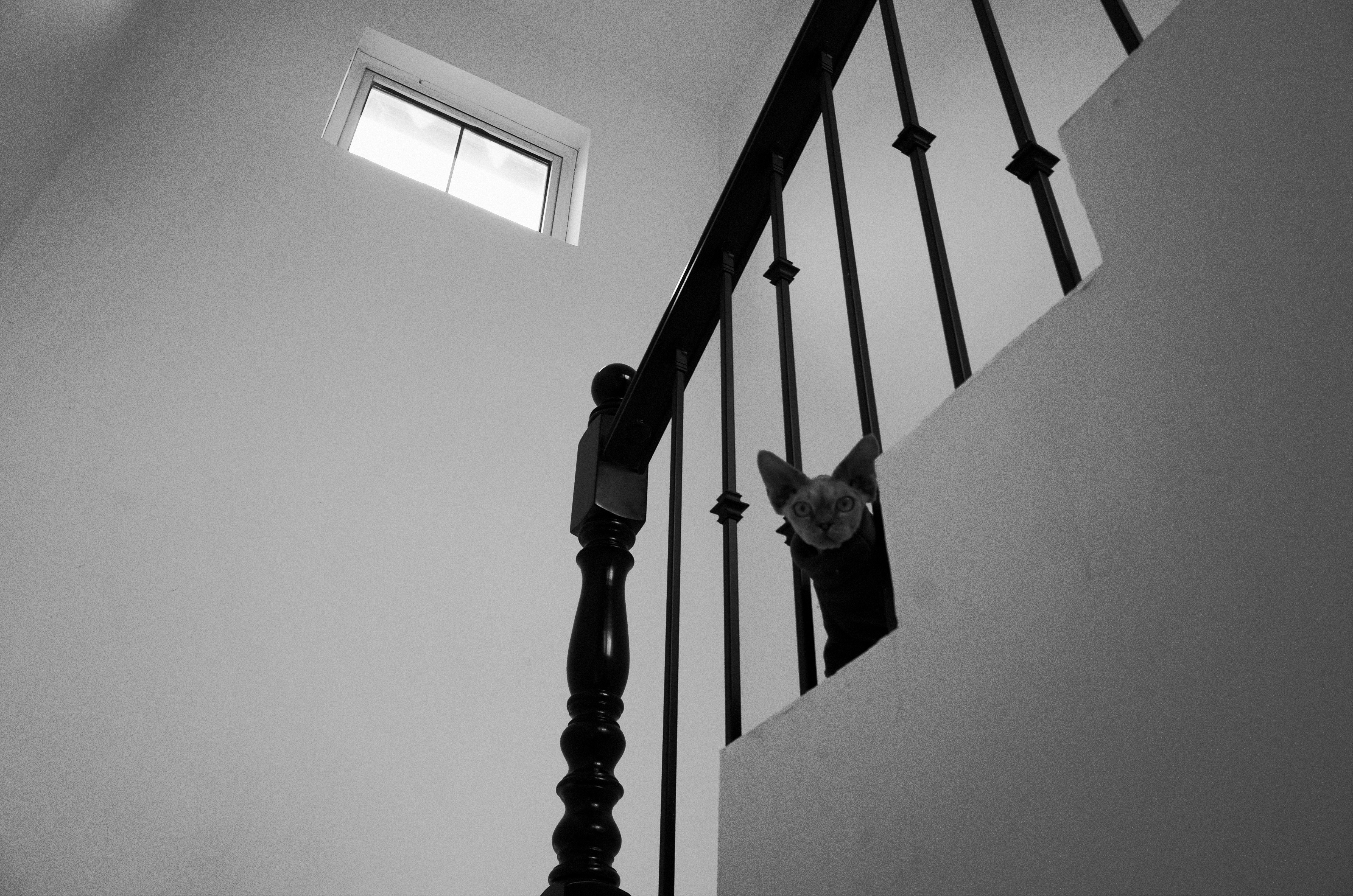 Photo by Benny sun with Ricoh GR II