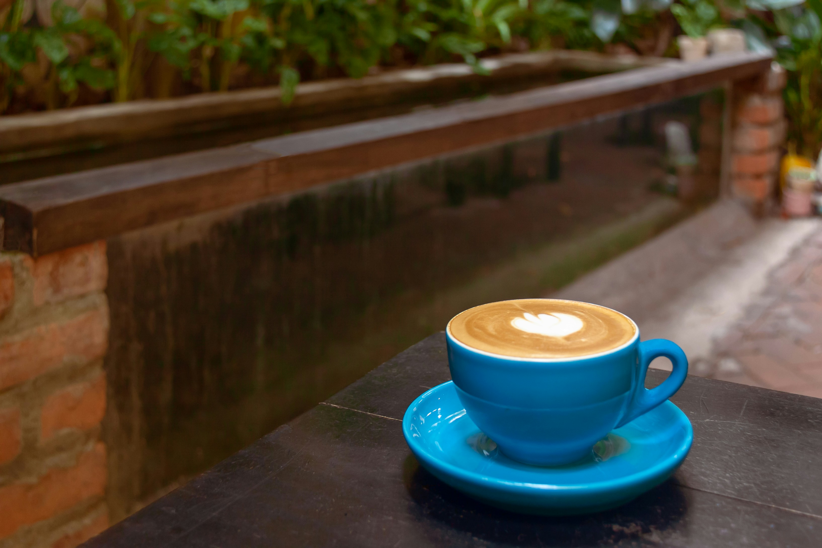 Cerulean Latte on a Quiet Riverside Terrace