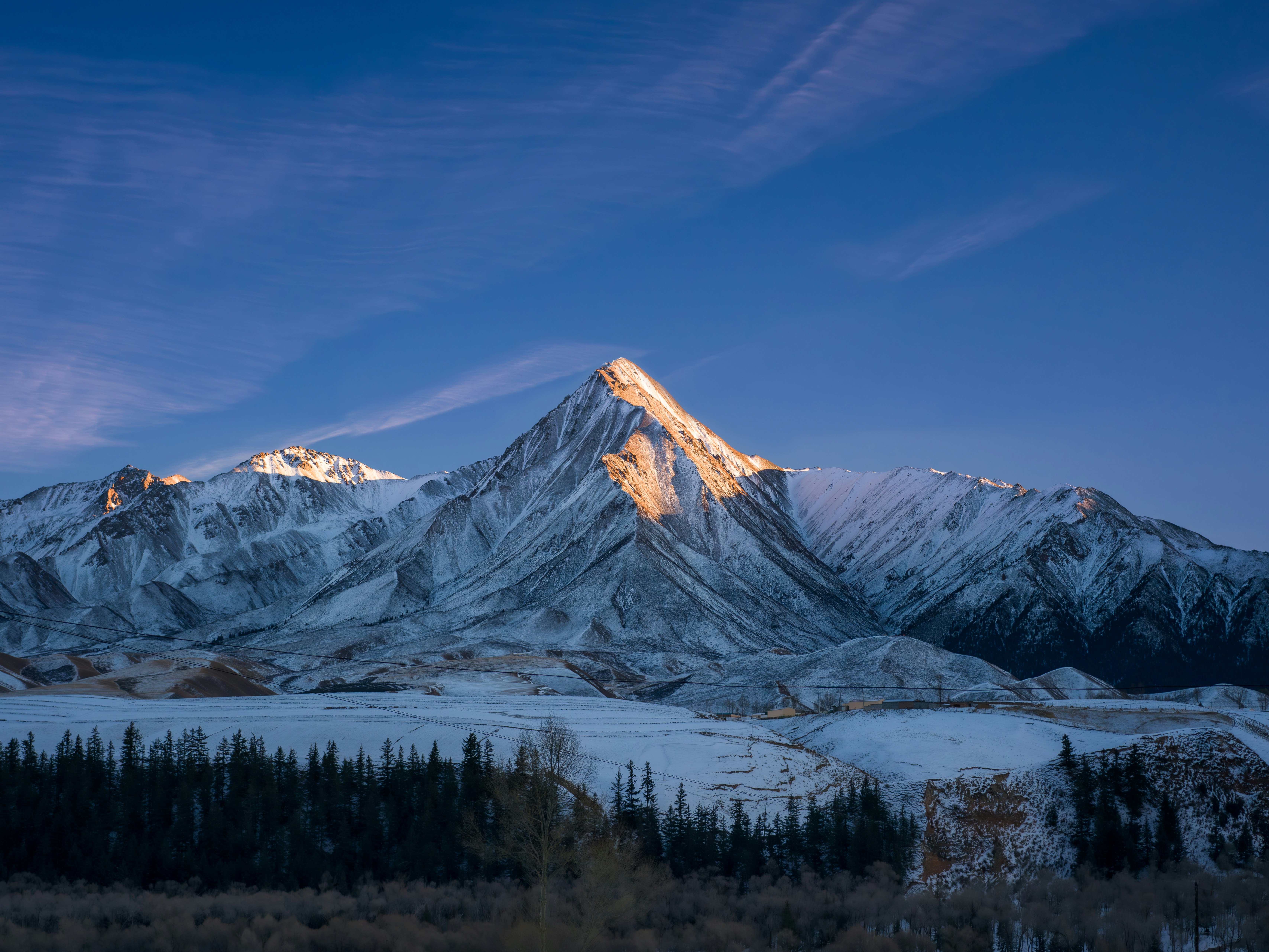A snow covered mountain with trees in the foreground