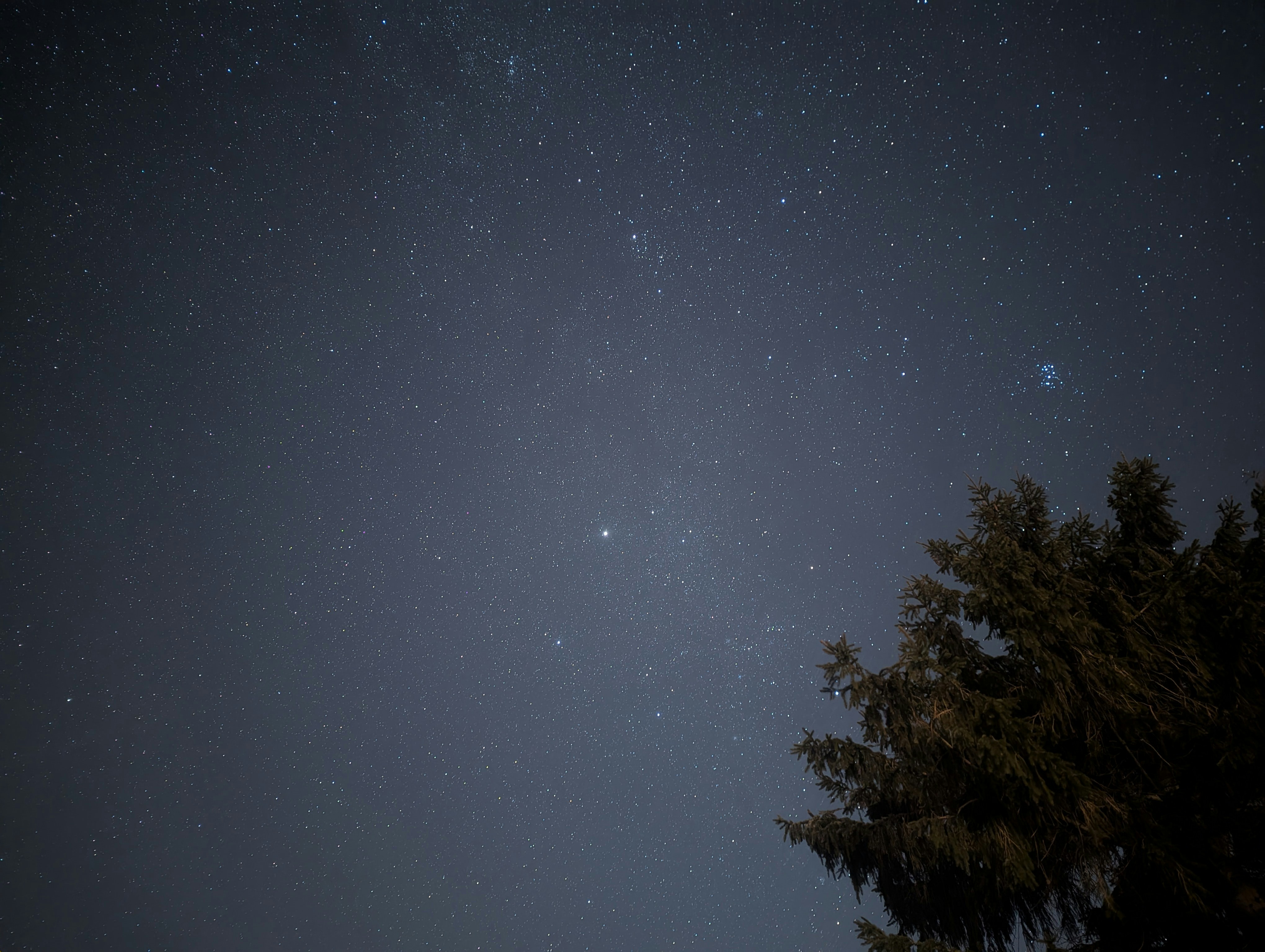 The night sky with stars and trees in the foreground photo – Free Space ...