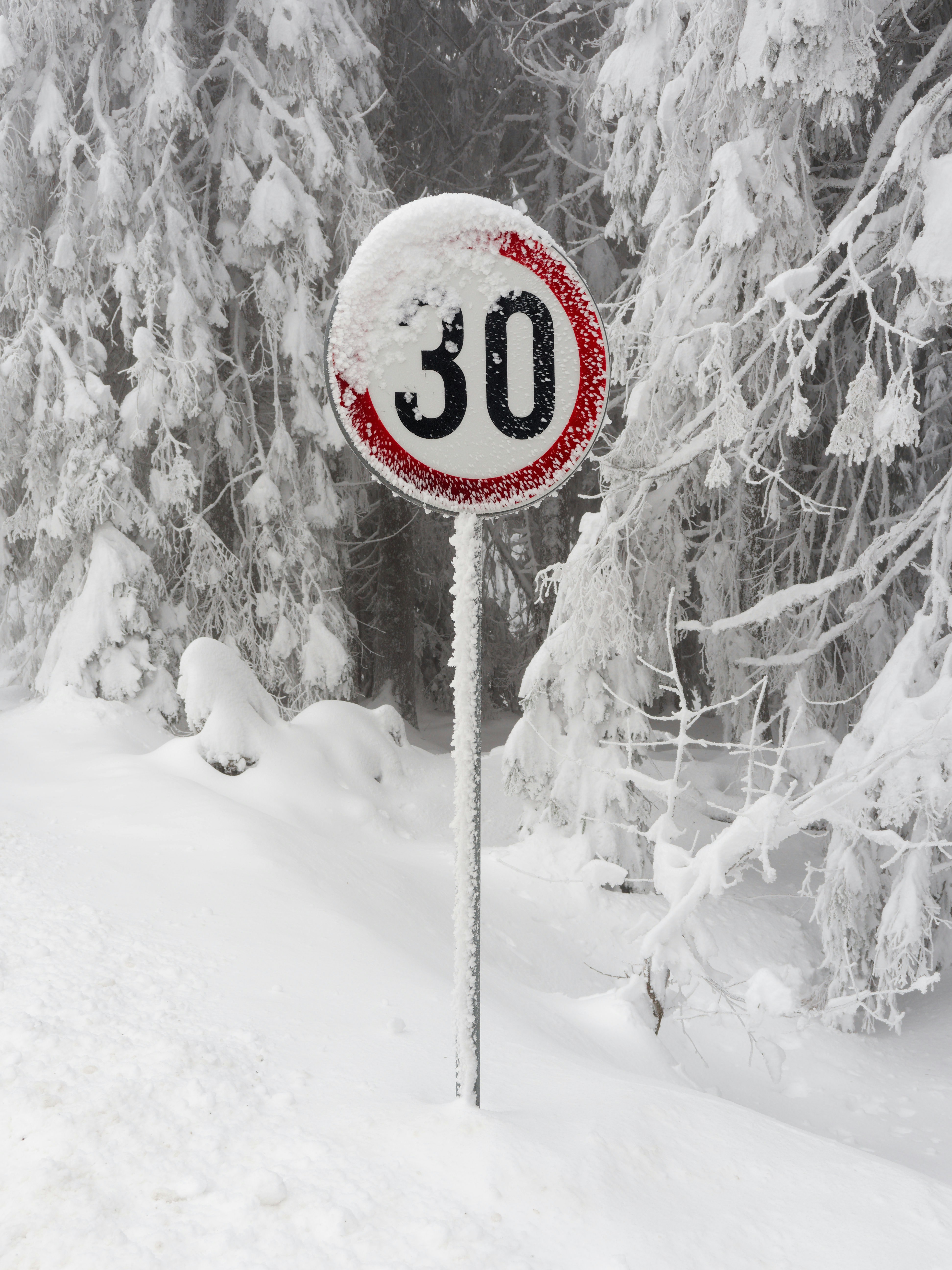 A speed limit sign in the middle of a snowy forest photo – Free Snow ...