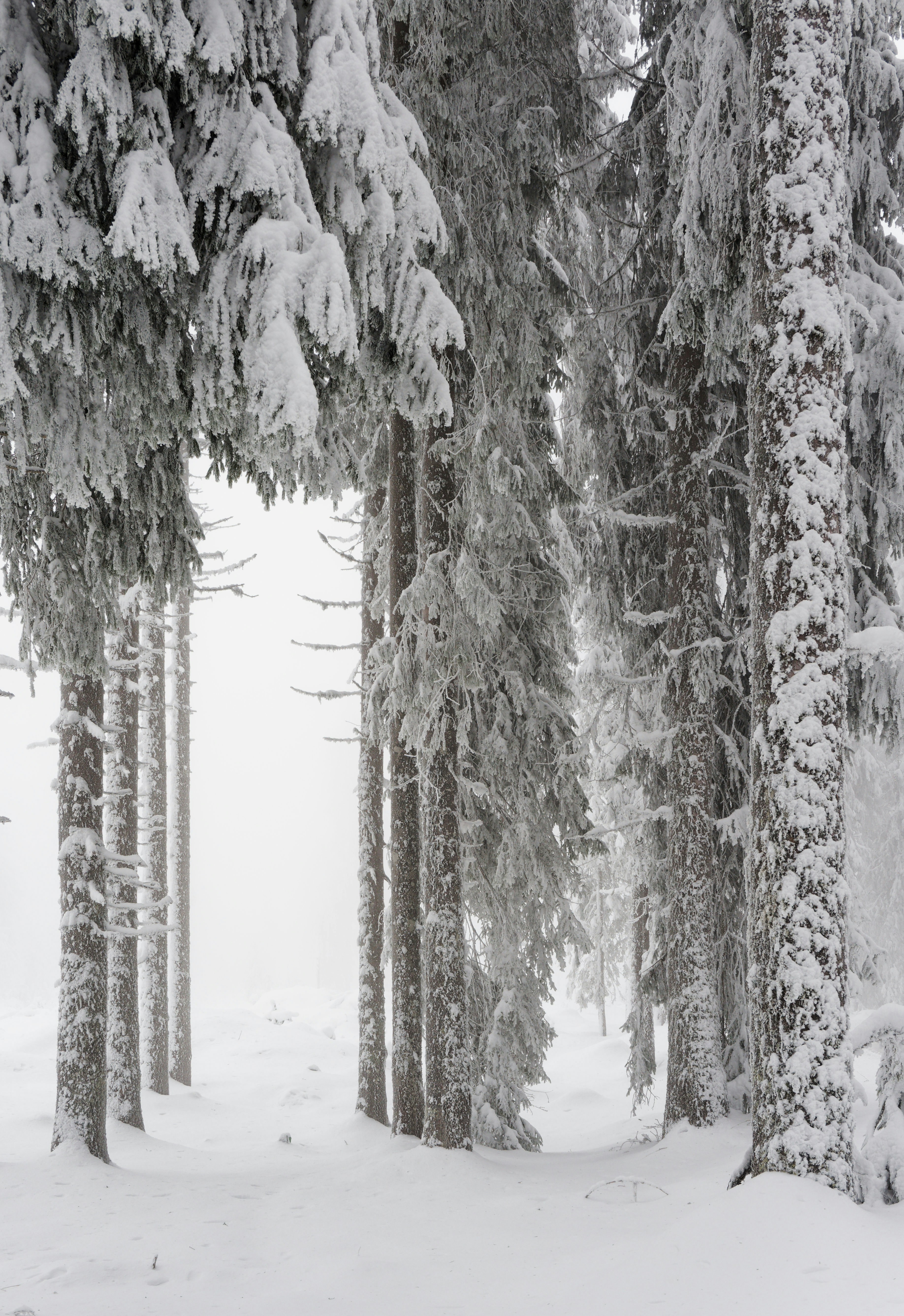 Photo by iuliu illes with OM System OM-1 Mark II