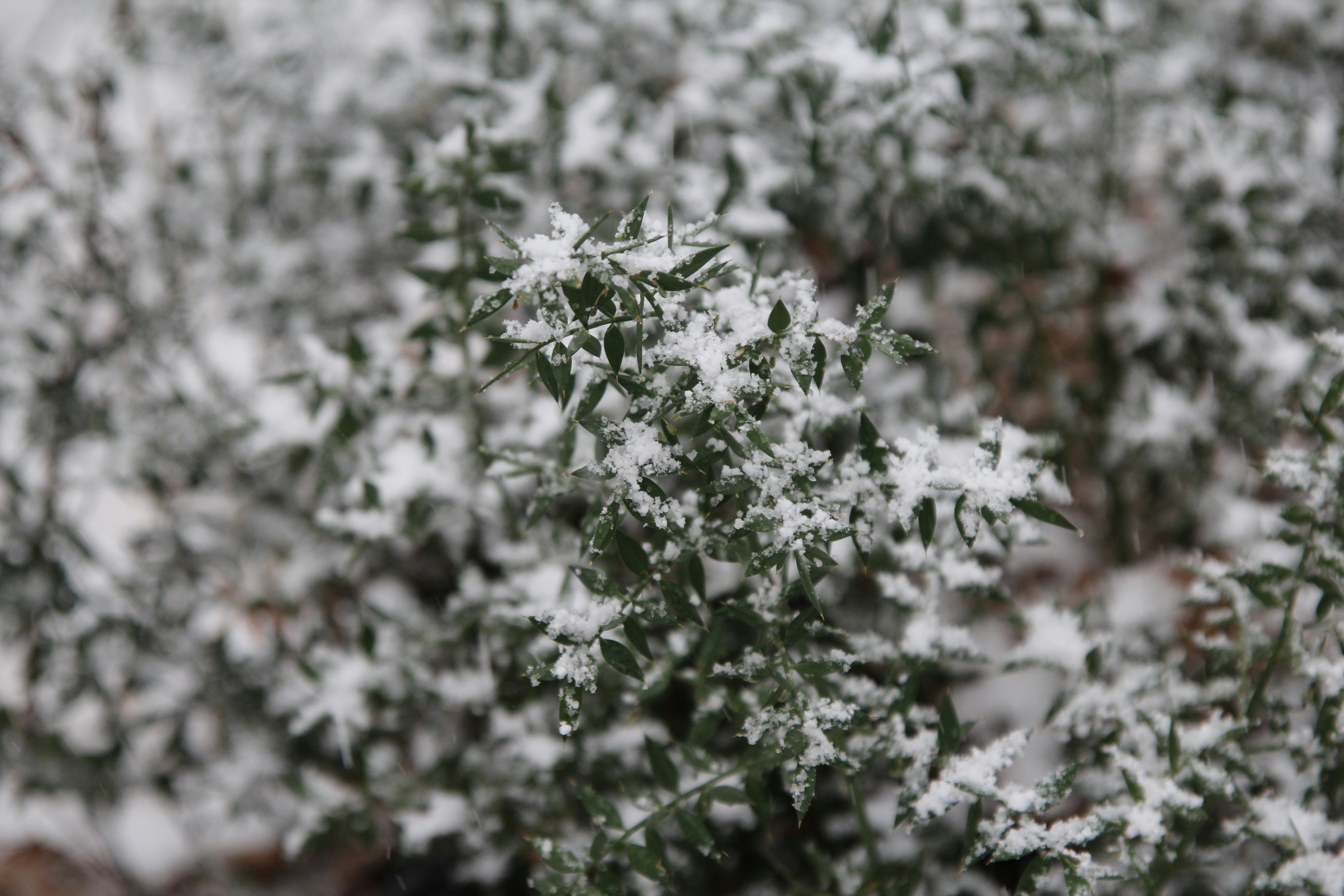 Sugar Bee (@sugarbee) | Unsplash 사진 커뮤니티