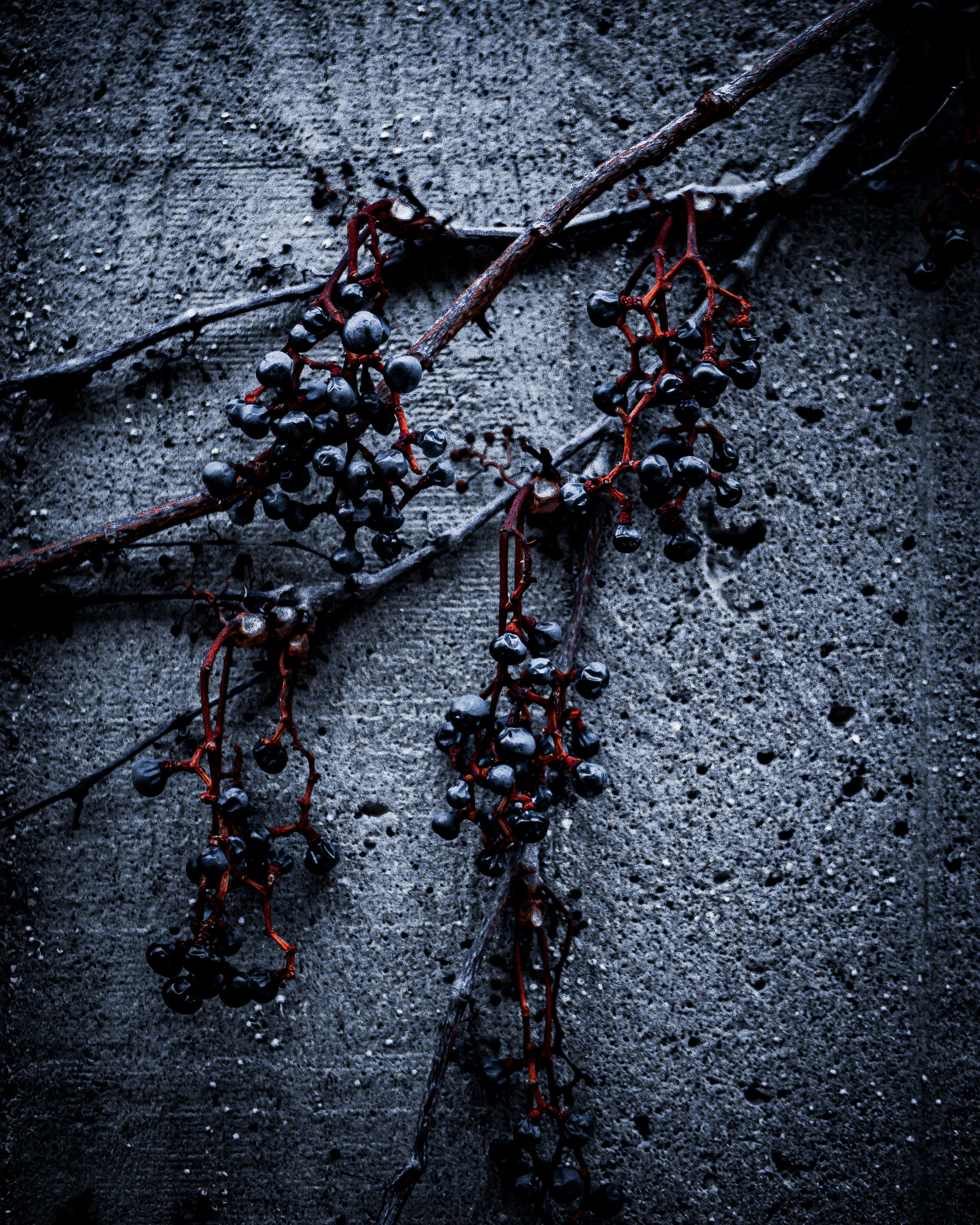 Photo by Yihan Wang with Olympus PEN E-P3