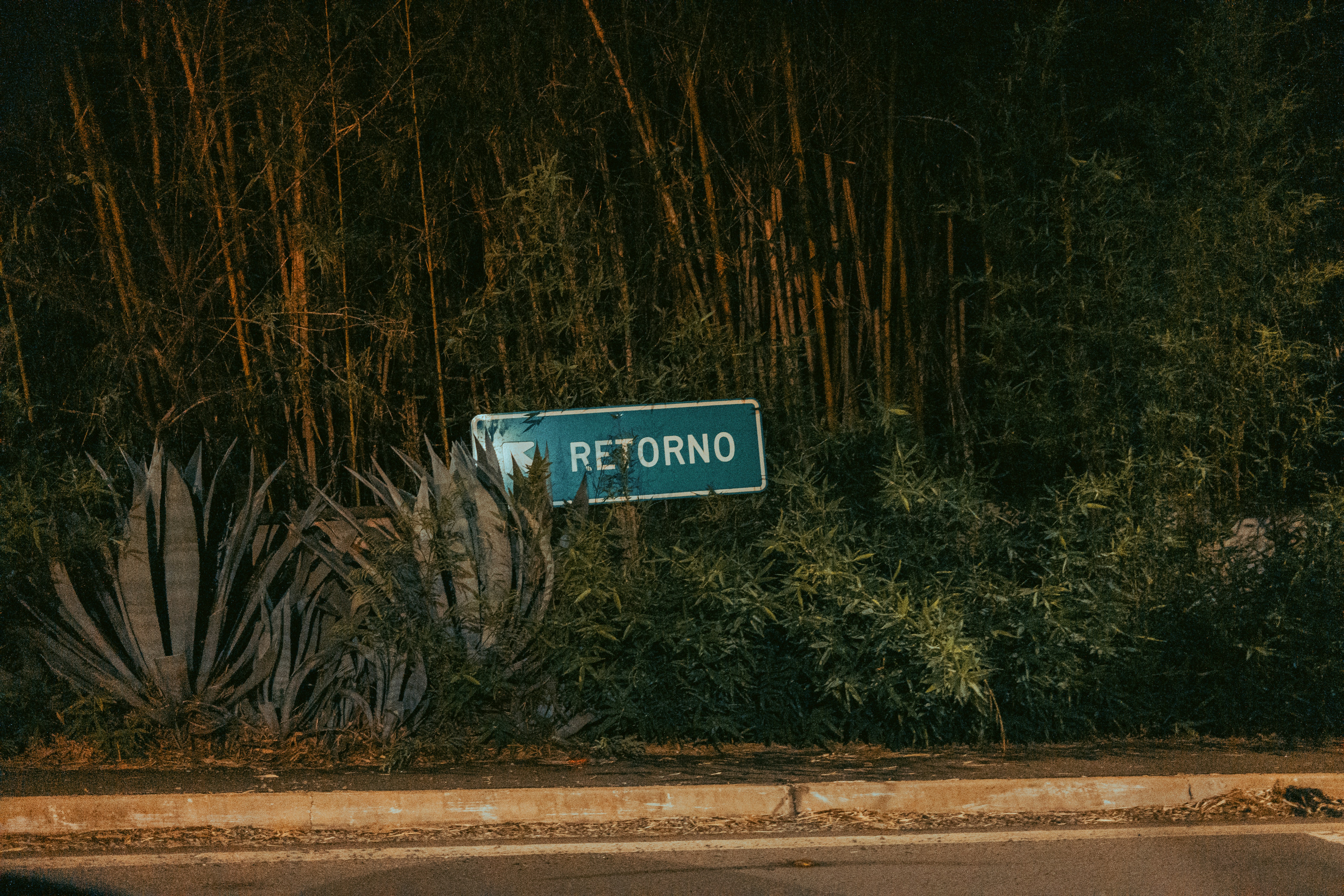 Hidden Return Sign Peeking Through Night Foliage