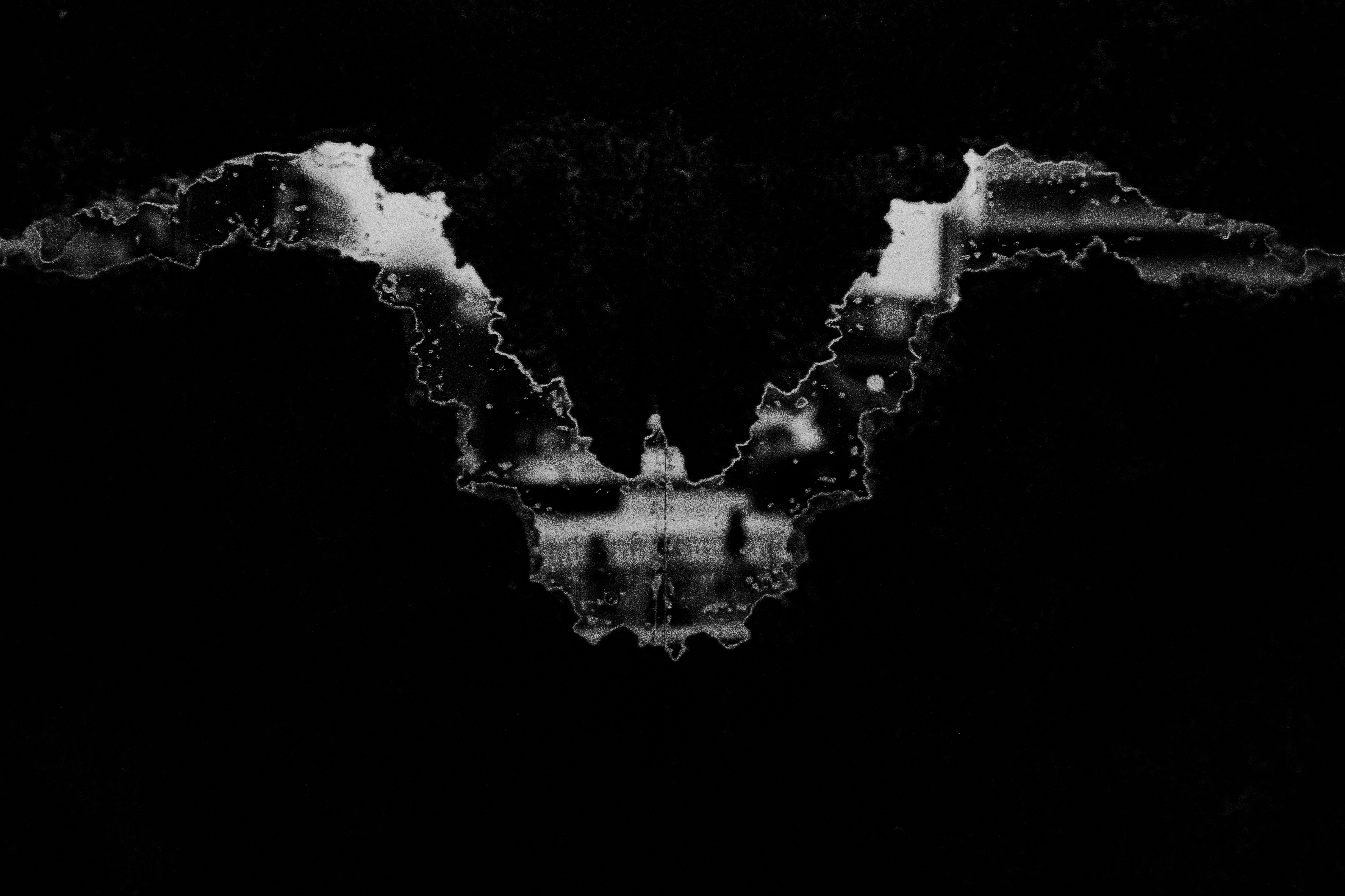 Abstract black and white pattern resembling a symmetrical Rorschach inkblot.