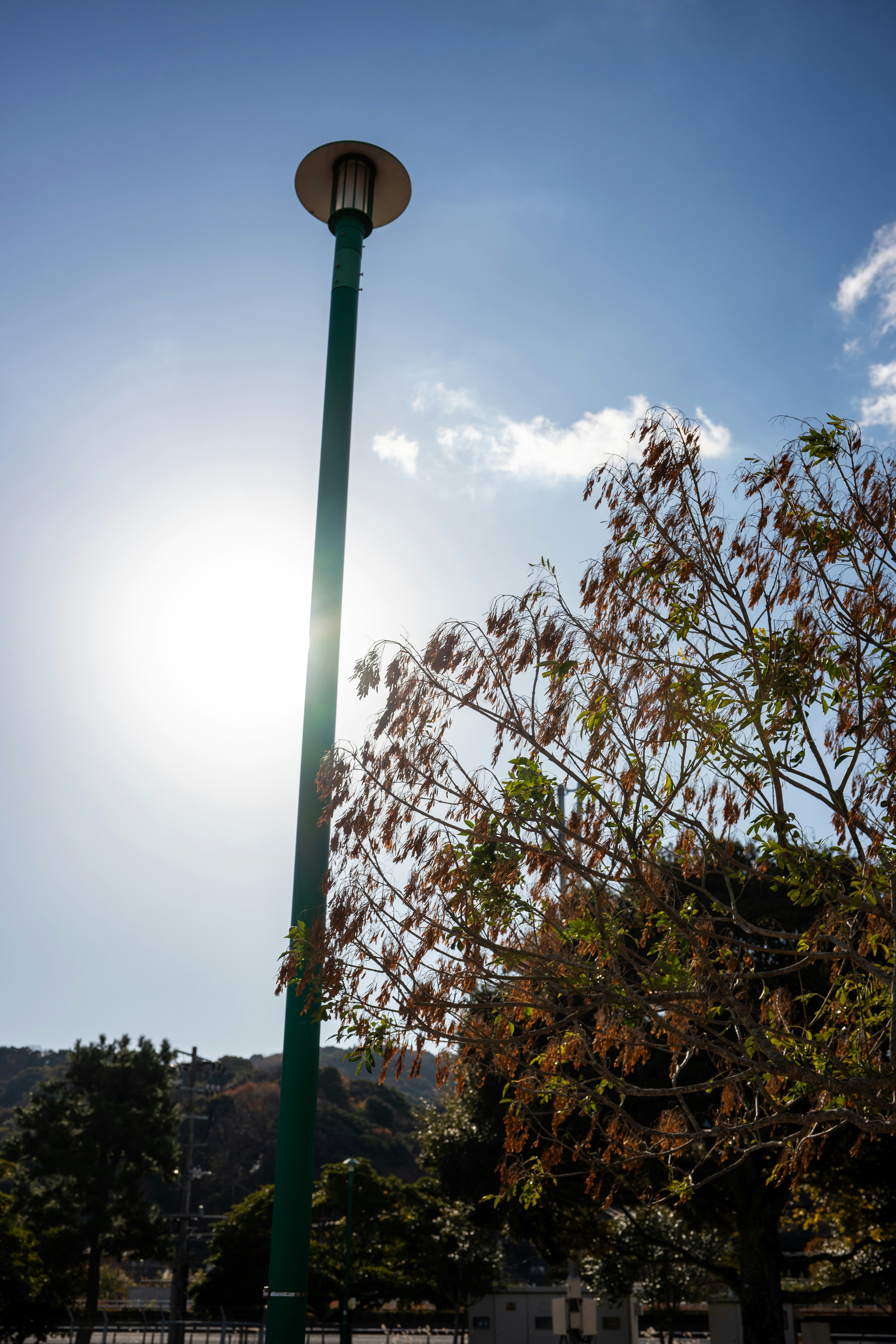 Sunlit Sentinel: A Green Streetlamp Framing Autumn Light